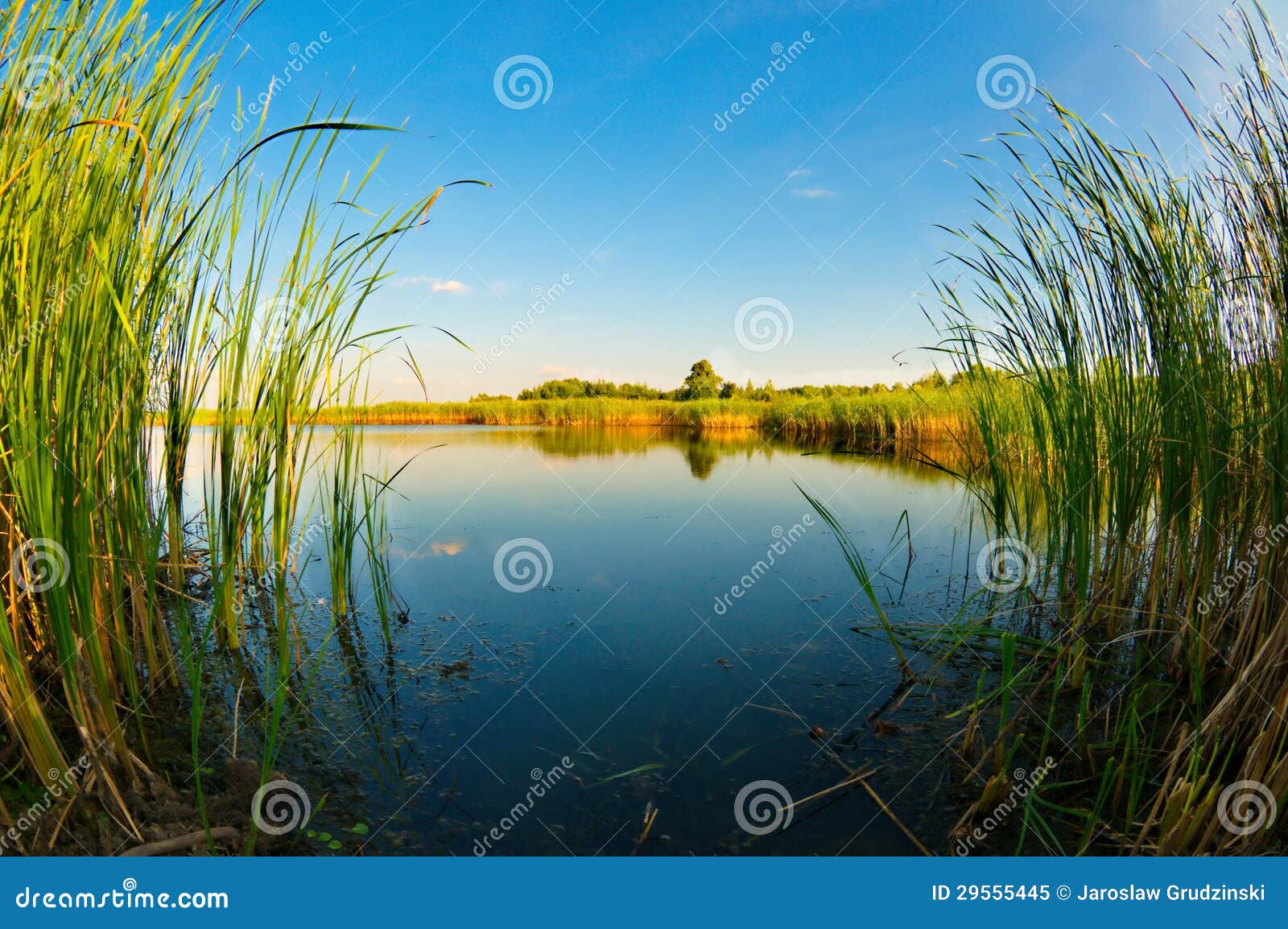 Beautiful Calm Lake And Dark Emerald Forest Royalty-Free Stock ...