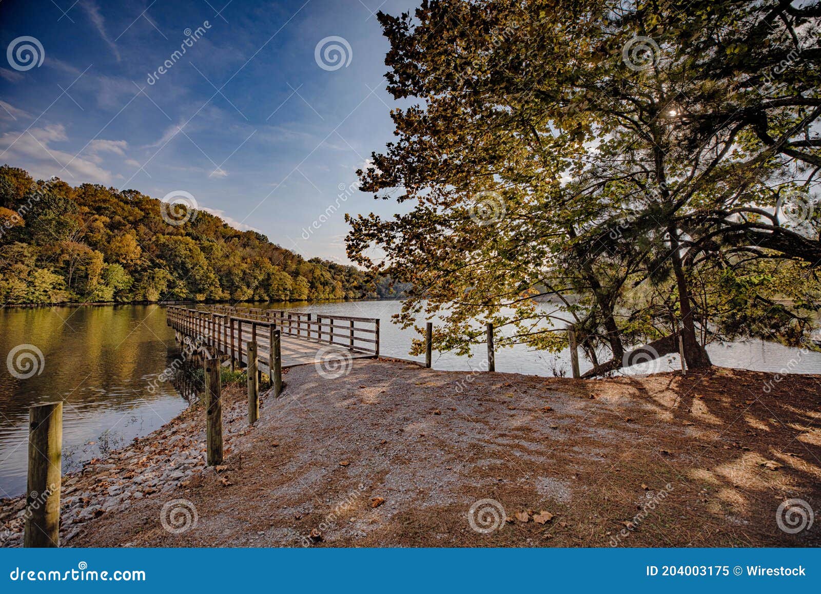 Beautiful Calm Lake Surrounded by Trees Stock Image - Image of plant ...