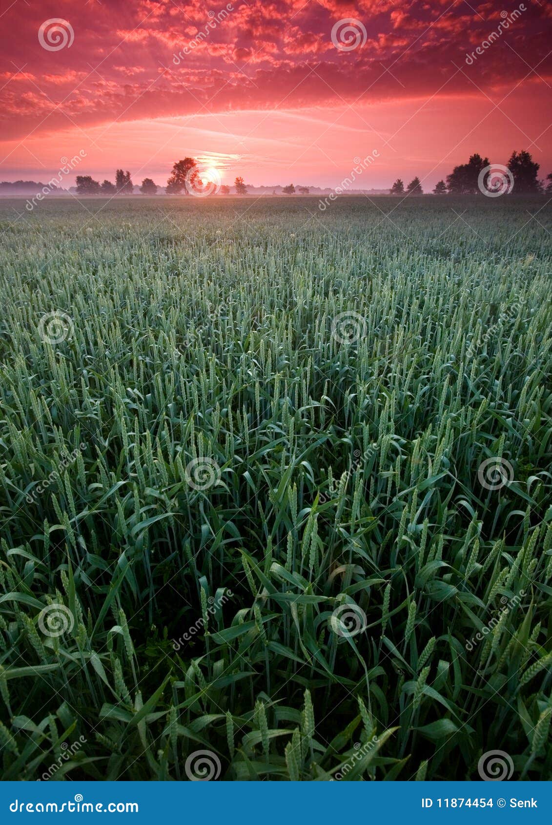 Beautiful and Calm Sunrise. Stock Photo - Image of dawn, farm: 11874454