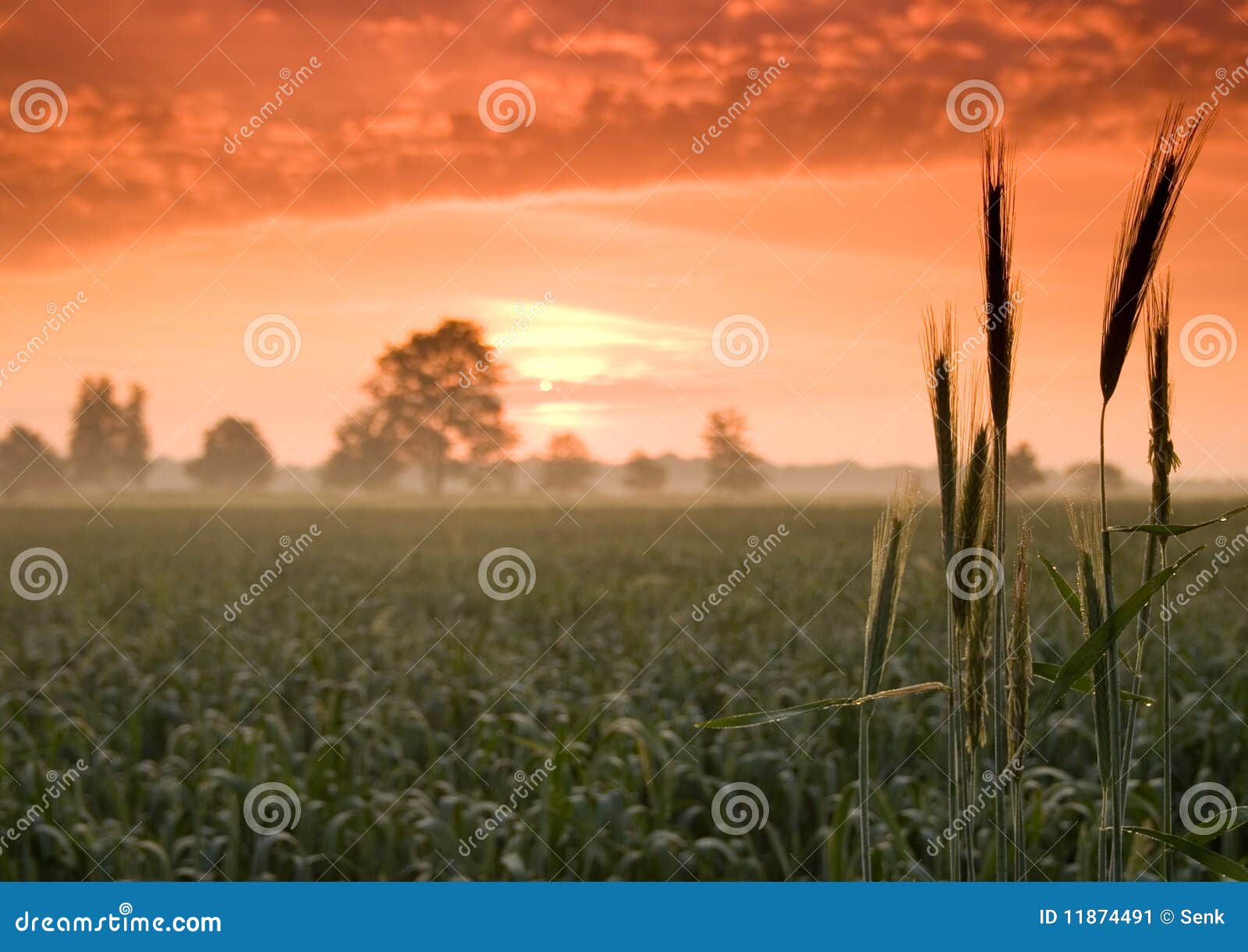 Beautiful and Calm Sunrise. Stock Image - Image of sunbeam, orange ...