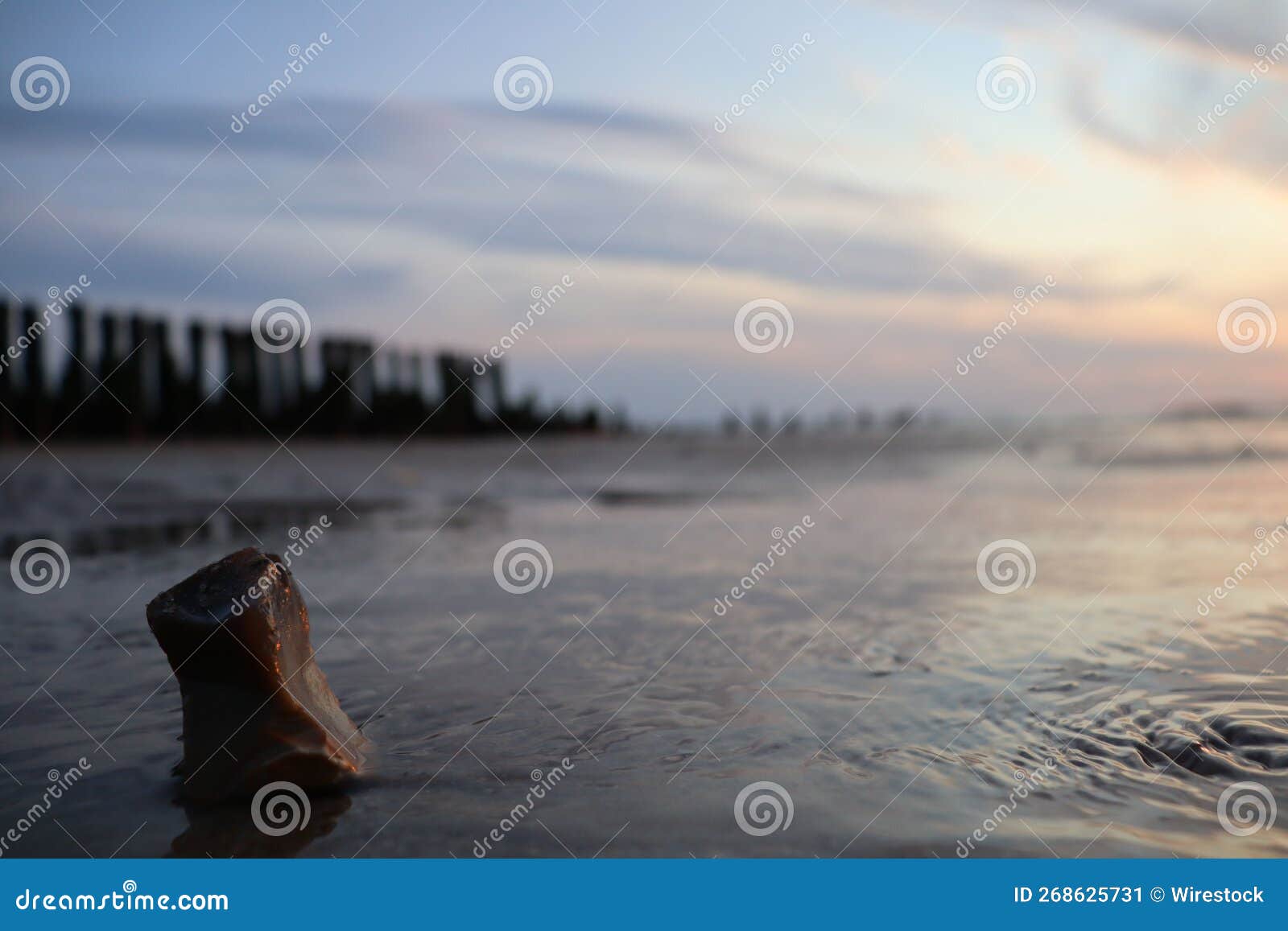 Beautiful Calm Sunset Over the Sea Shore Stock Image - Image of ...