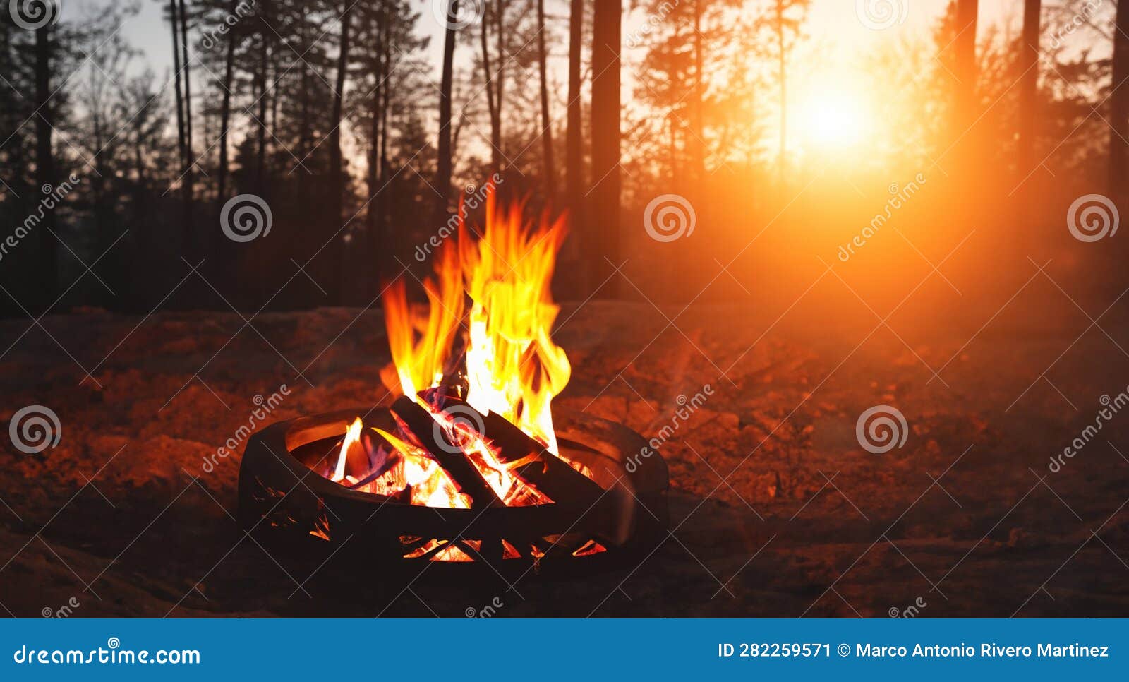 Beautiful Campfire in the Middle of the Forest at Sunset in High ...