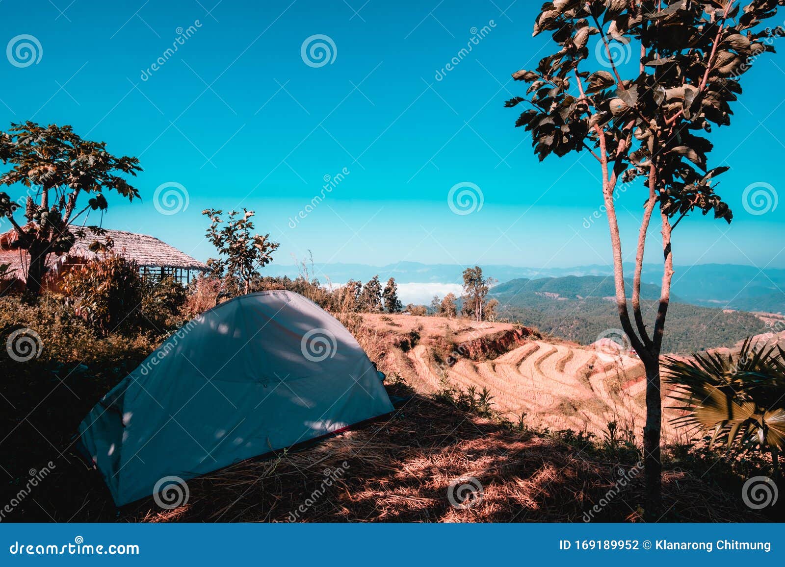 Beautiful Campground on the High Mountain Stock Photo - Image of ...
