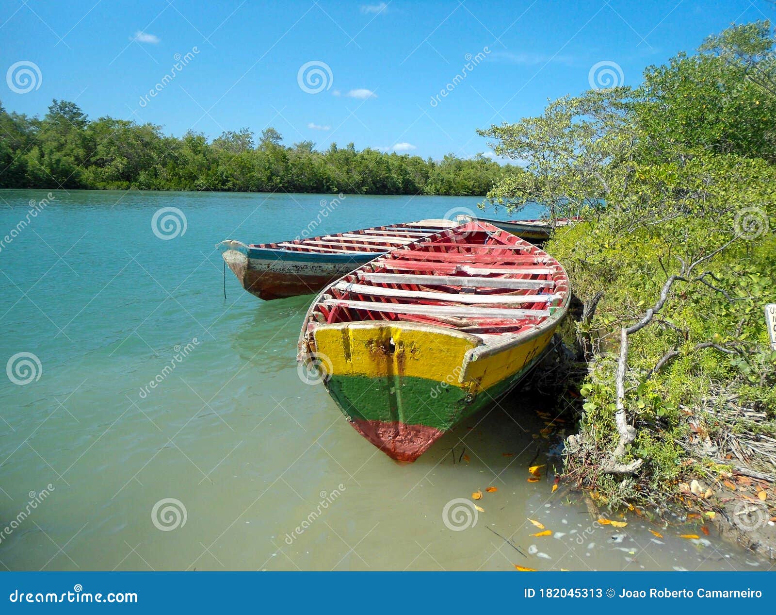 Beautiful Canoe in Tropical River in Ceara, Brazil Stock Image - Image ...