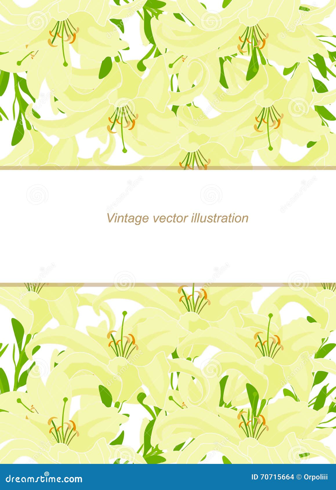 Beautiful for a Card with Lily. Vector Illustration Stock Vector ...