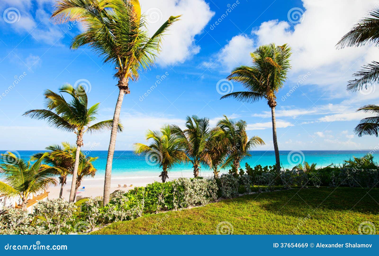 Beautiful Caribbean beach stock image. Image of shore - 37654669