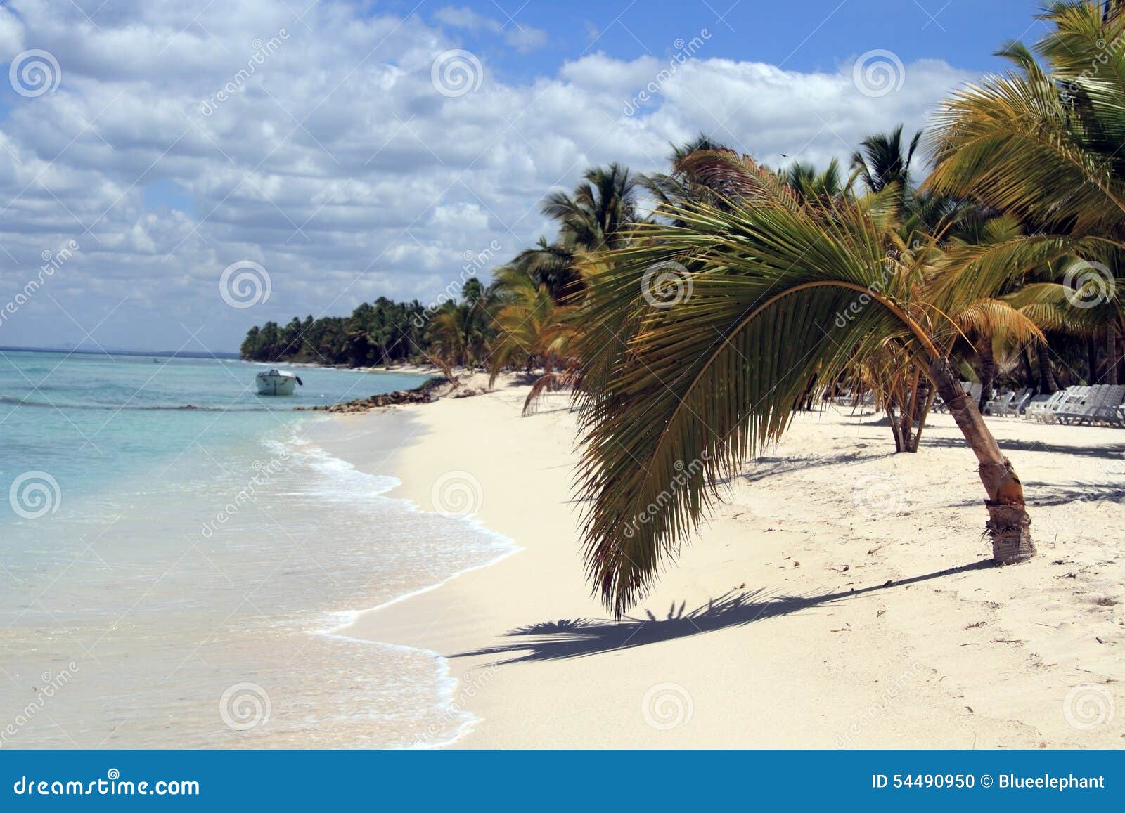 Beautiful Caribbean beach stock photo. Image of nature - 54490950