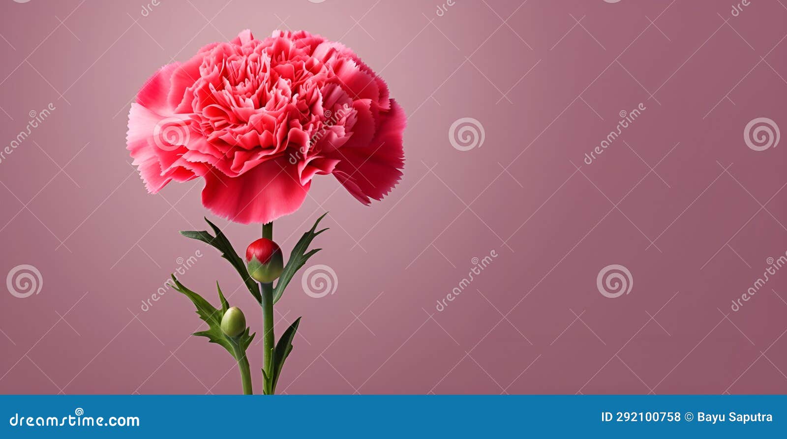 Beautiful Carnation Flower Macro Blank Space, Ai Generative Stock ...