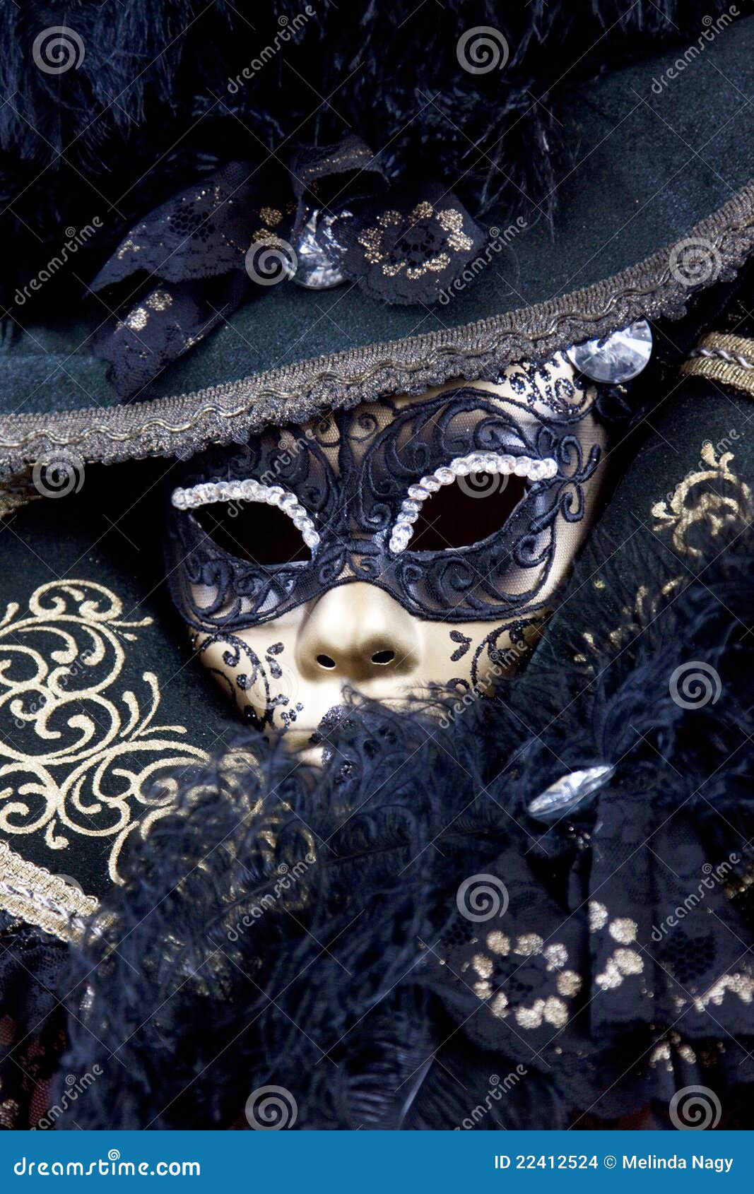 Beautiful Carnival Mask from Venice Stock Photo - Image of nose, female ...