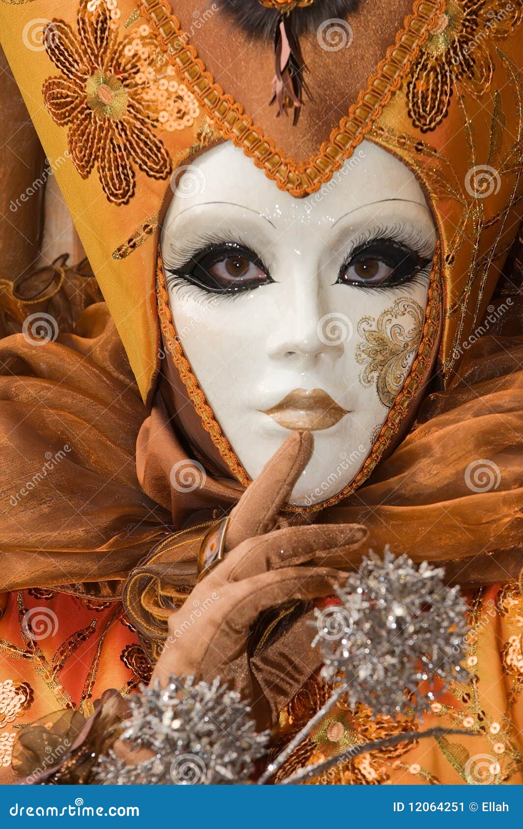 Beautiful carnival outfit stock image. Image of costume - 12064251