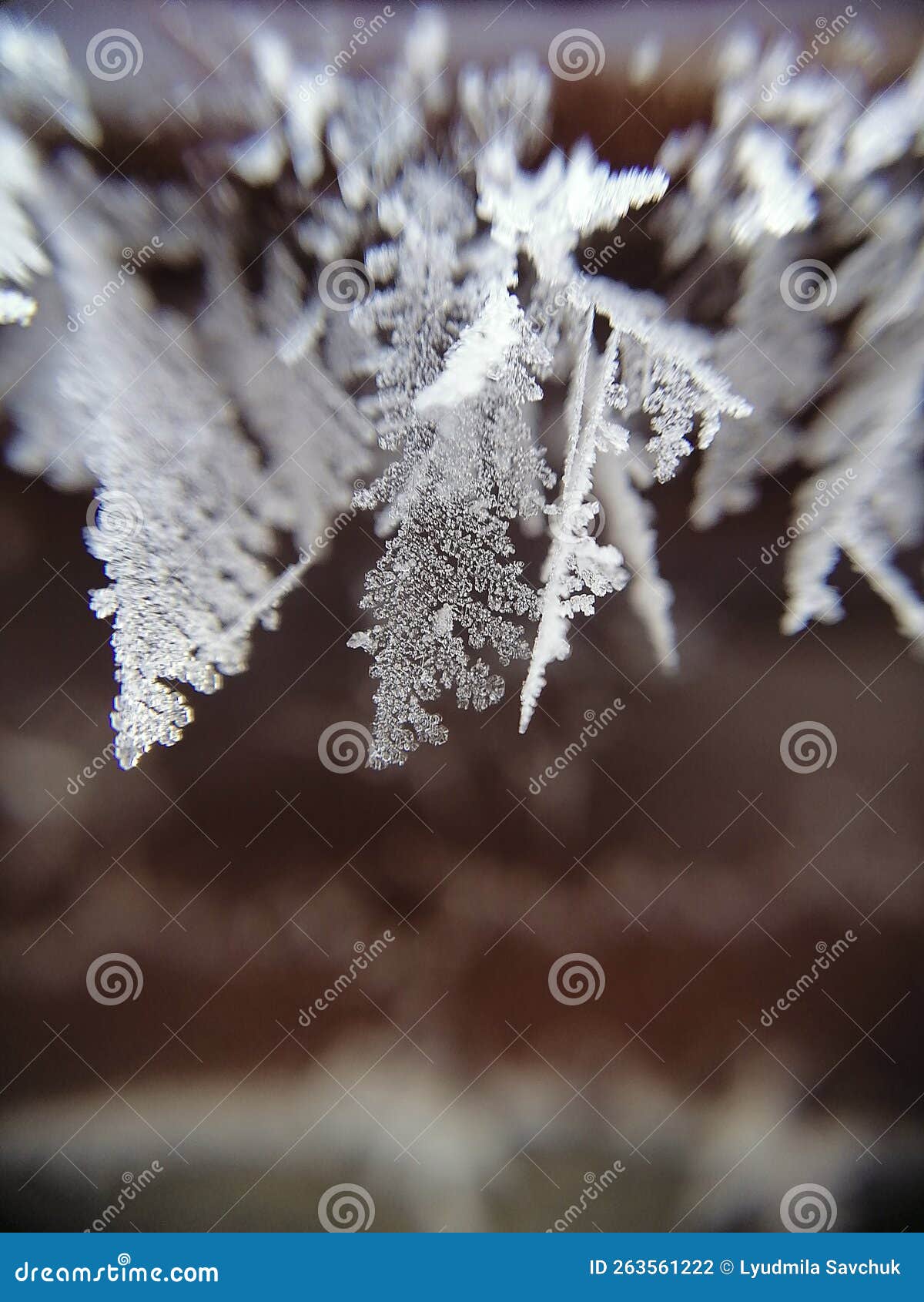 Beautiful Carved Shapes of Drizzle Stock Photo - Image of beautiful ...