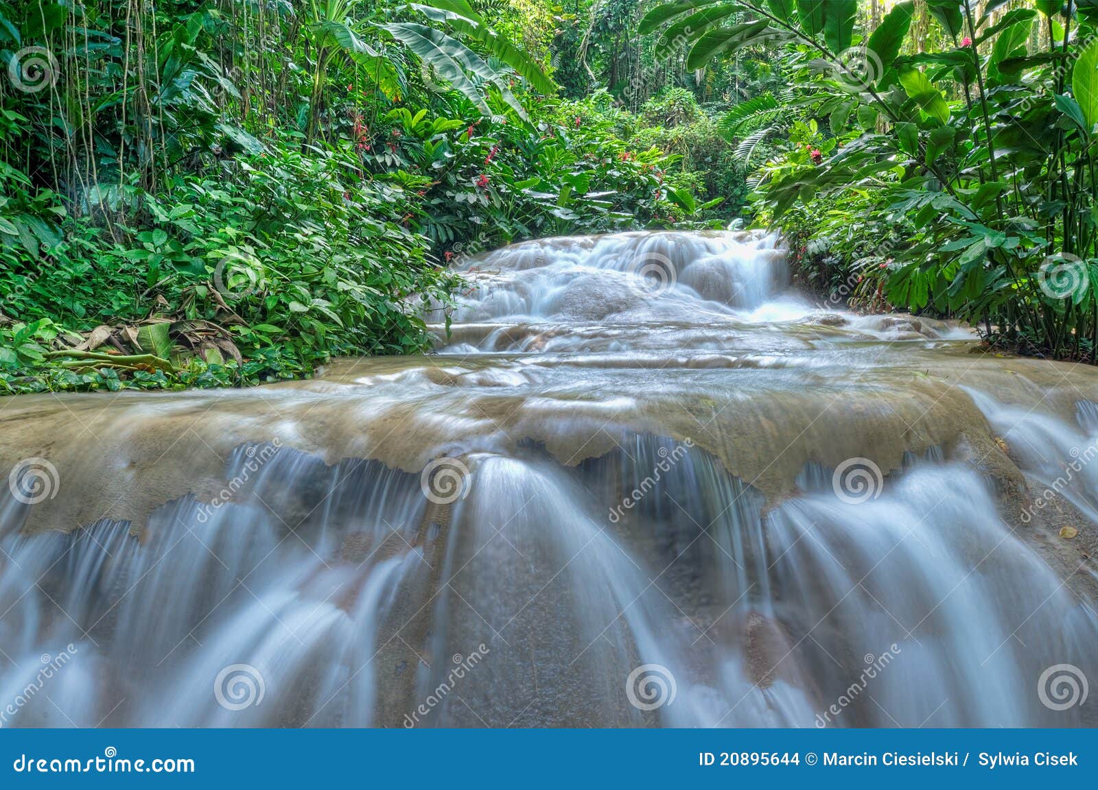Beautiful cascade stock photo. Image of rainforest, foliage - 20895644