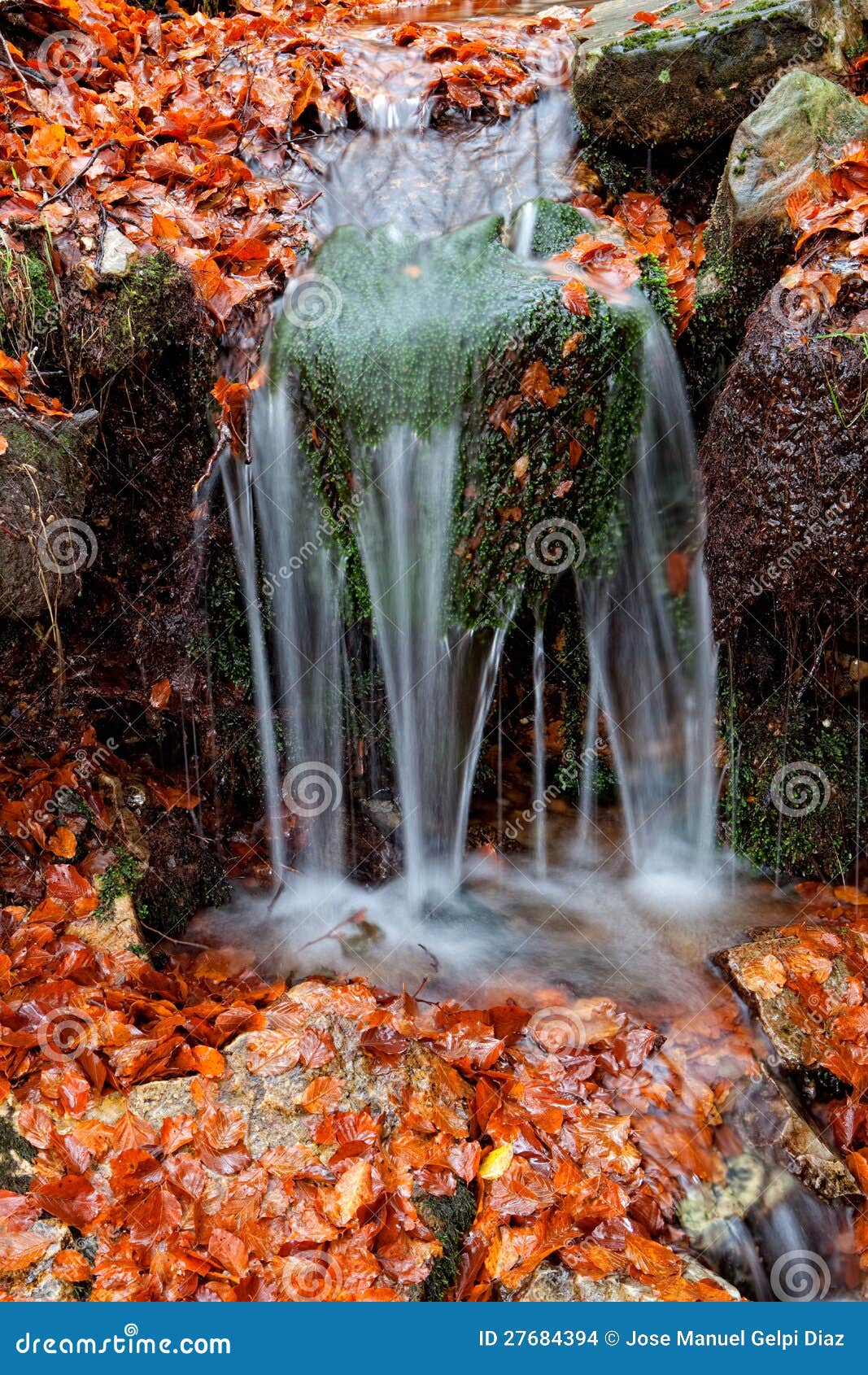 Beautiful cascade stock photo. Image of orange, fresh - 27684394