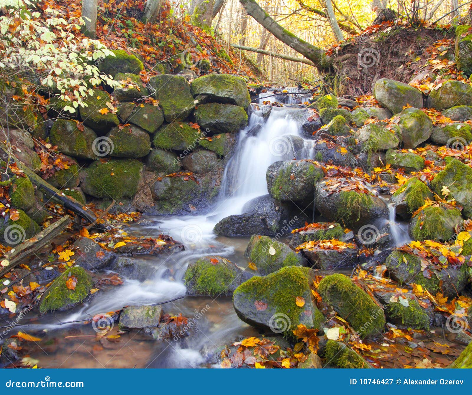 Beautiful Cascade Waterfall in Autumn Forest Stock Image - Image of ...