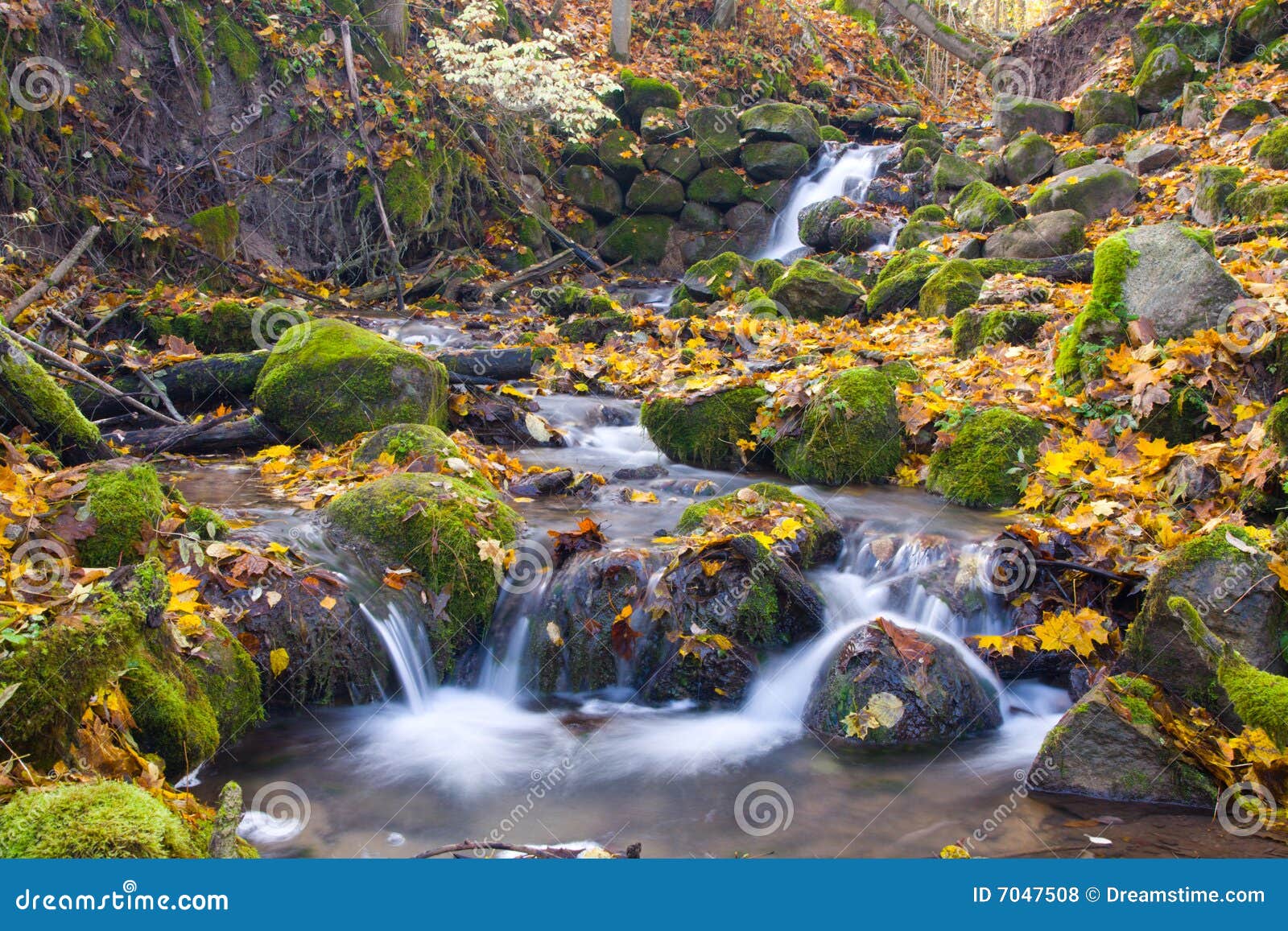 Beautiful Cascade Waterfall in Autumn Forest Stock Photo - Image of ...