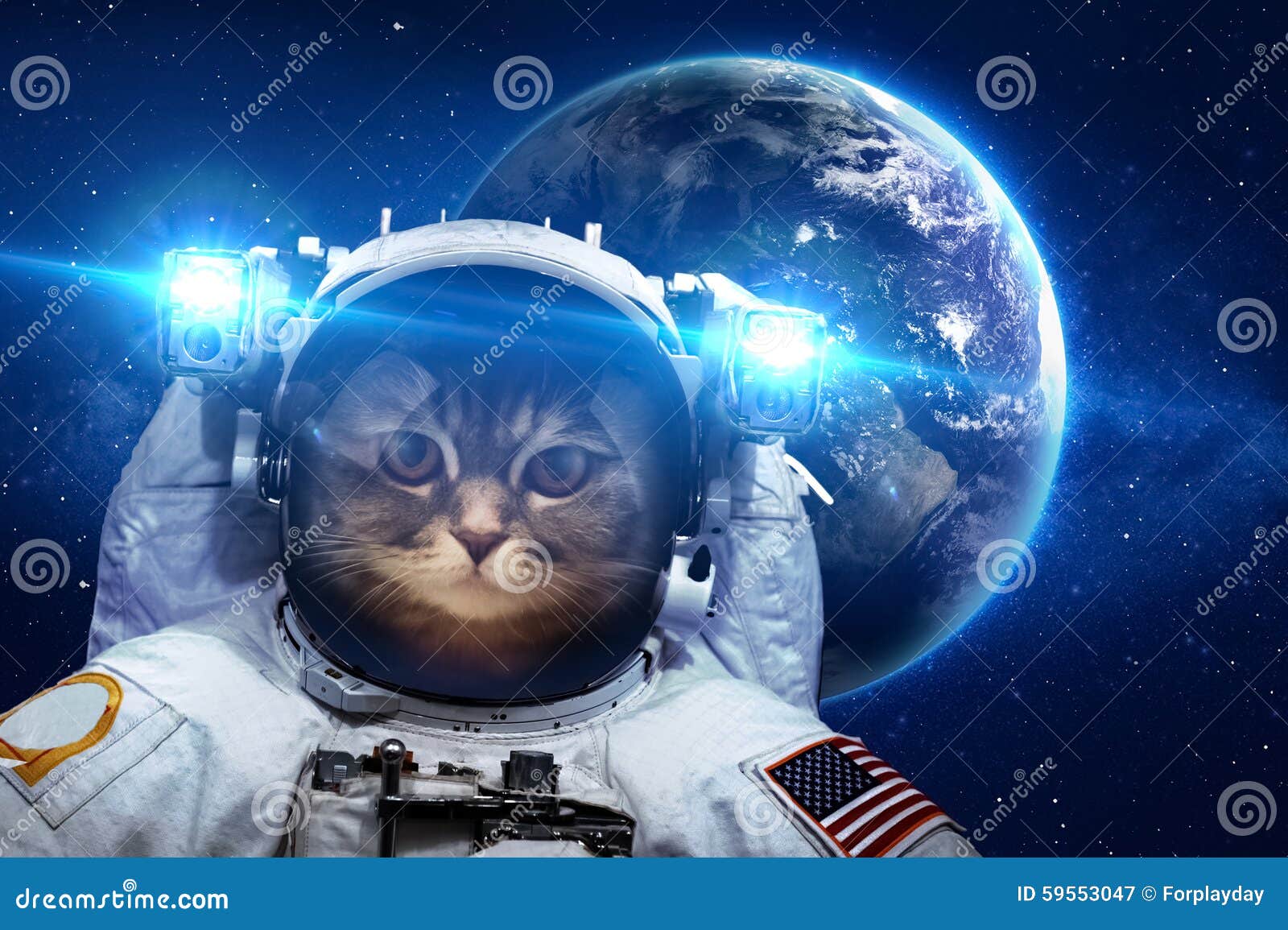 Beautiful Cat in Outer Space Stock Image - Image of earth ...