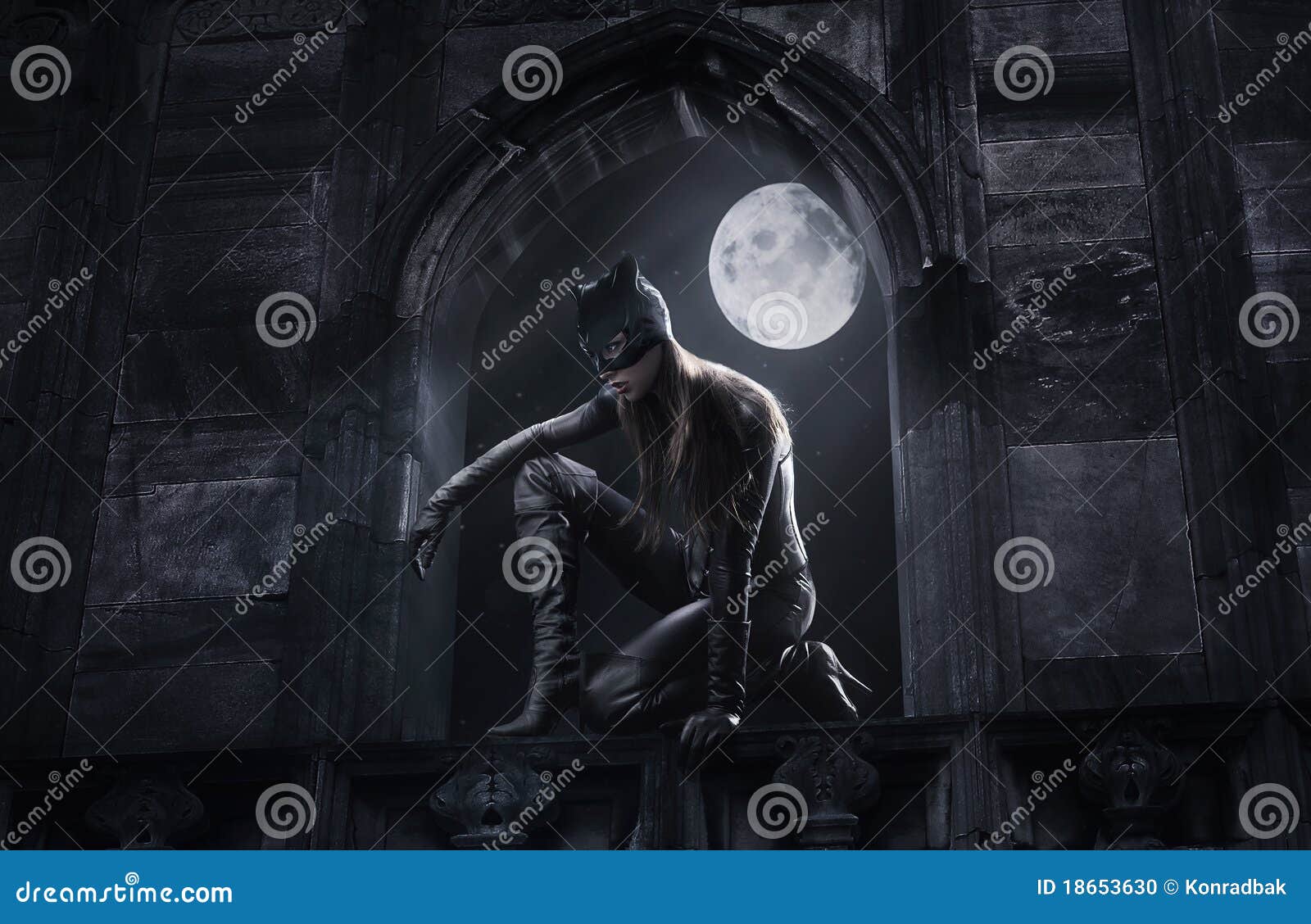 Beautiful catwoman editorial image. Image of expression - 18653630