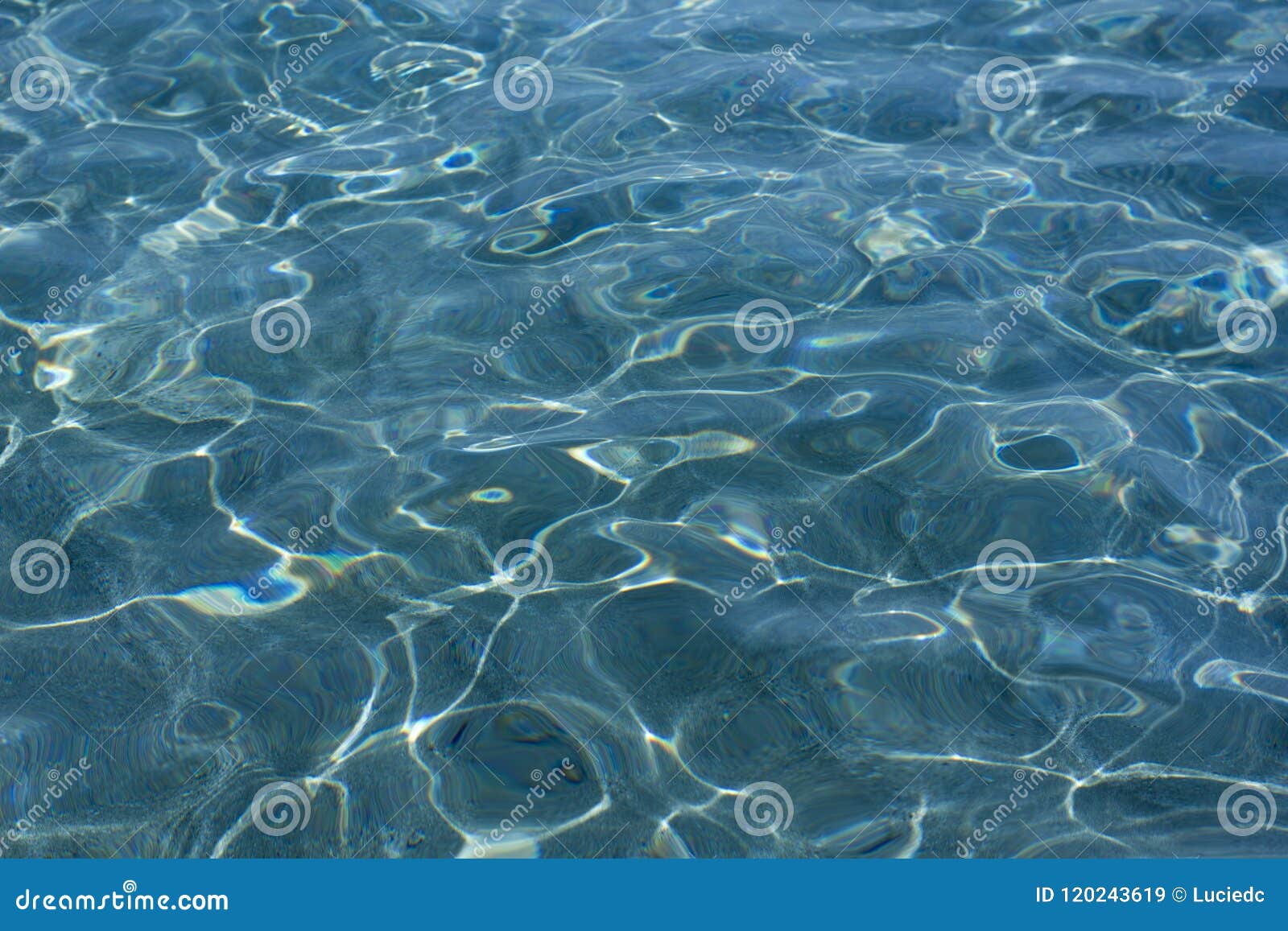 Water Caustic Pool Texture Stock Photo | CartoonDealer.com #143016948