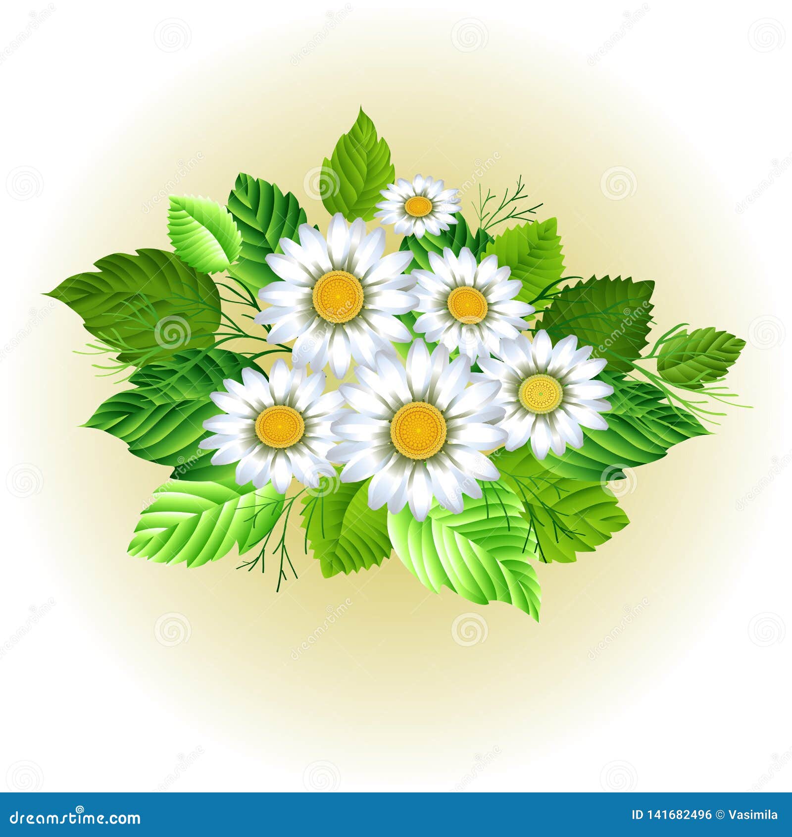 Beautiful Chamomile Bouquet Stock Vector - Illustration of blossom ...