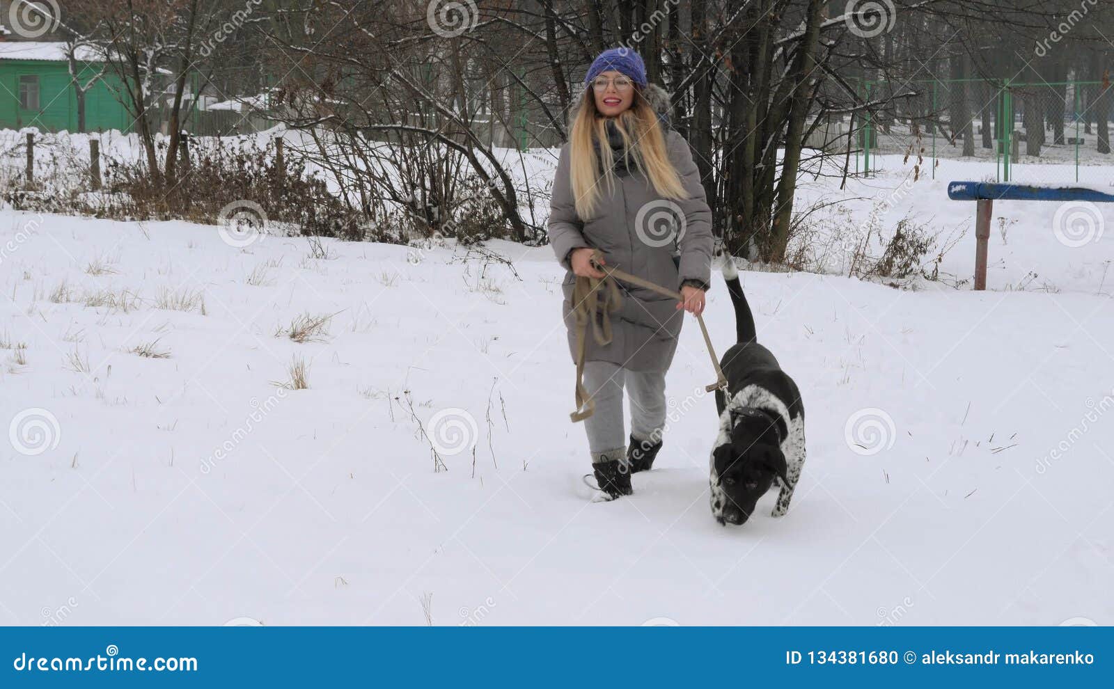 Beautiful Cheerful Girl Walking the Dog Pointer in the Snow. Stock ...