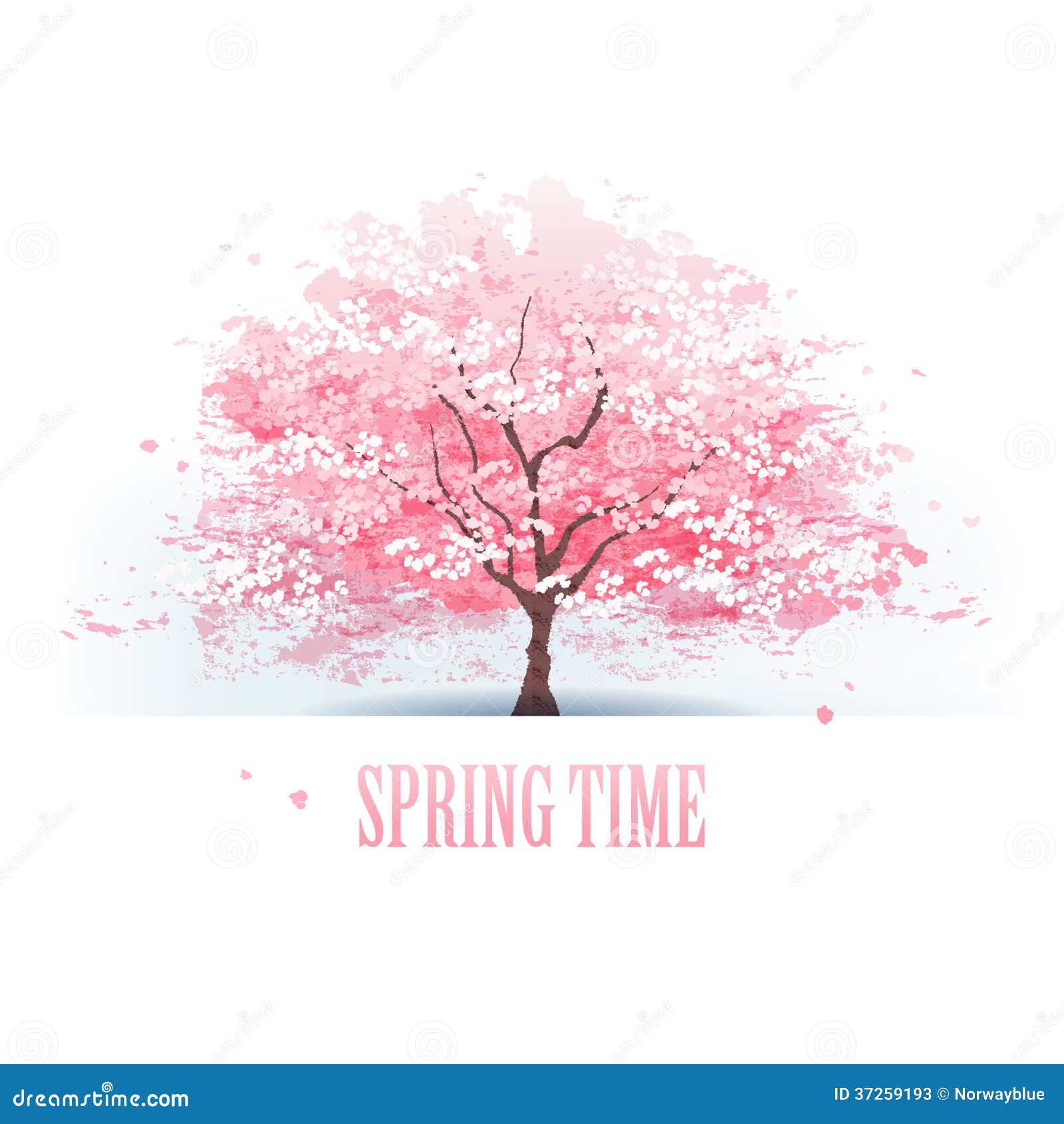 Beautiful Cherry Blossom Royalty-Free Stock Image | CartoonDealer.com ...