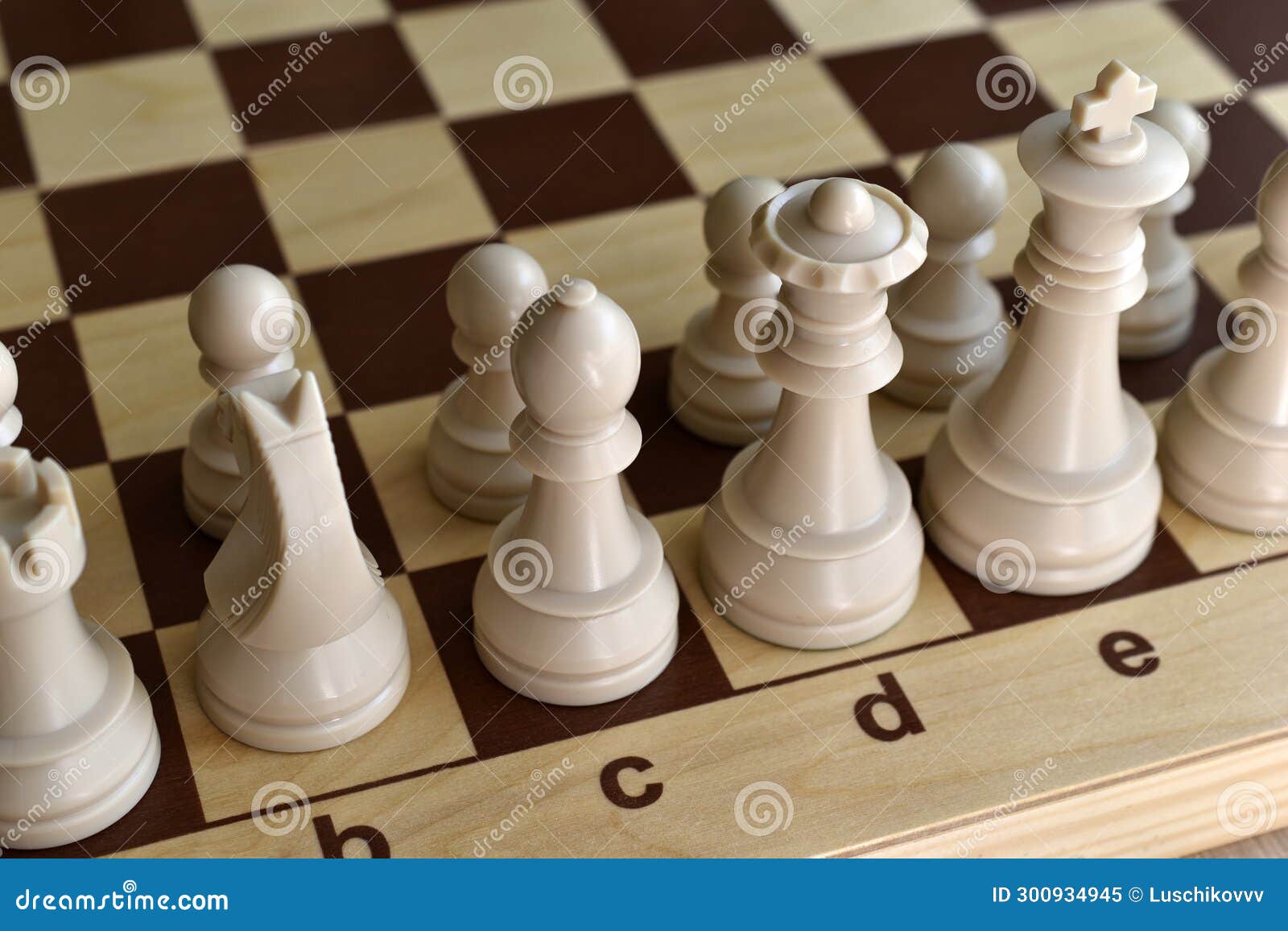 Beautiful Chess Pieces on the Board. the Chessboard Stock Image - Image ...