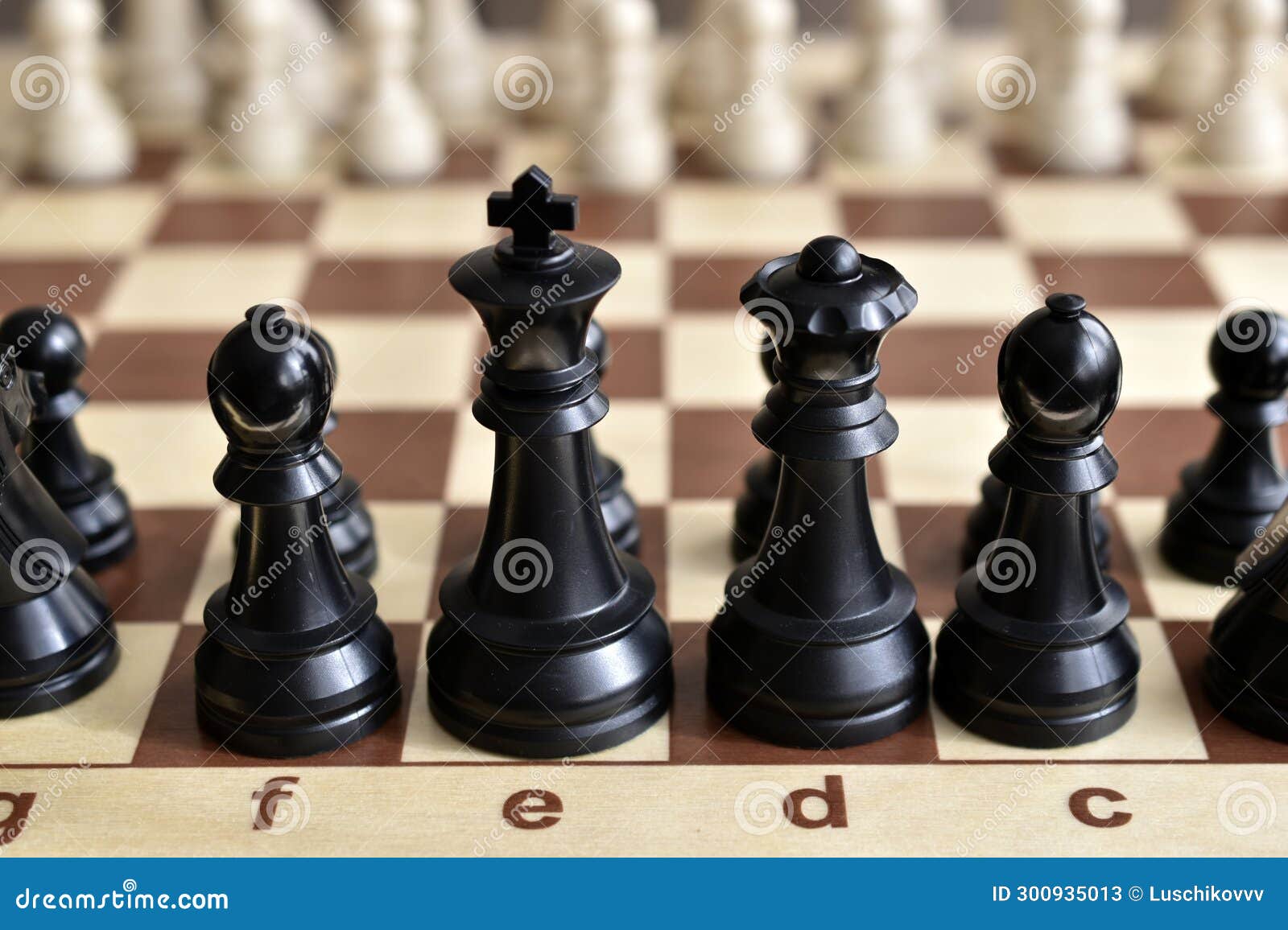 Beautiful Chess Pieces on the Board. the Chessboard Stock Image - Image ...