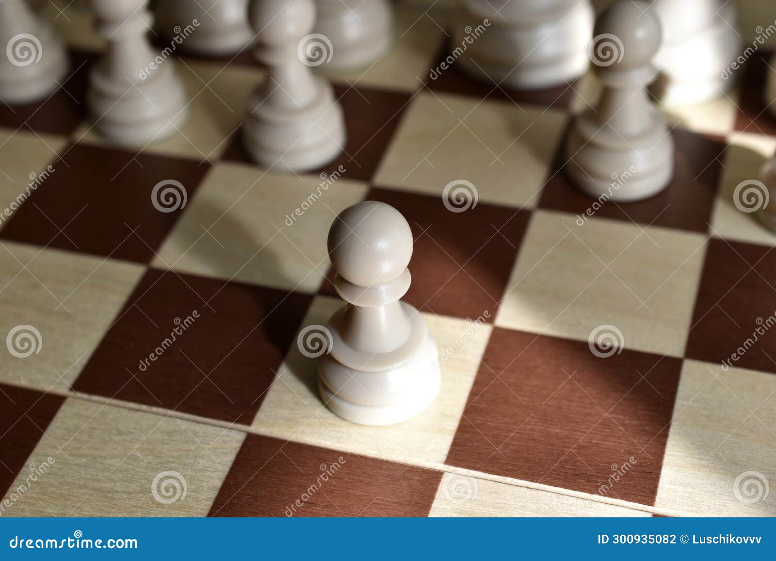 Beautiful Chess Pieces on the Board. the Chessboard Stock Photo - Image ...