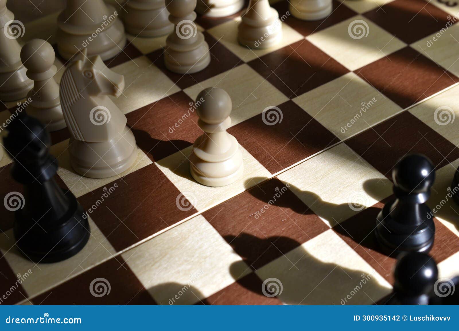 Beautiful Chess Pieces on the Board. the Chessboard Stock Photo - Image ...