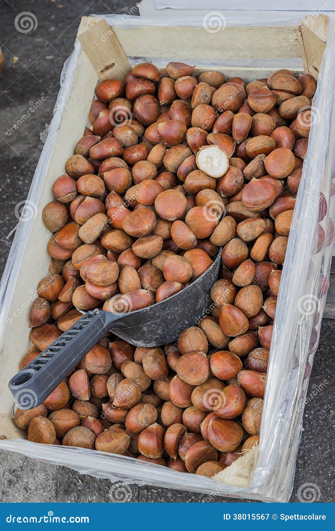 Beautiful Chestnut at Farmers Market Stock Image - Image of freshness ...