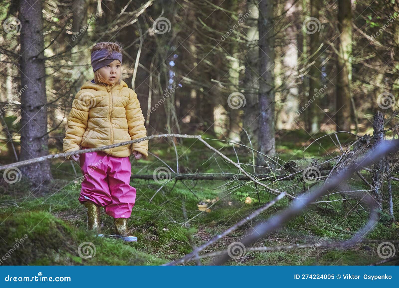 Beautiful Child in the Forest in Denmark Stock Image - Image of alone ...