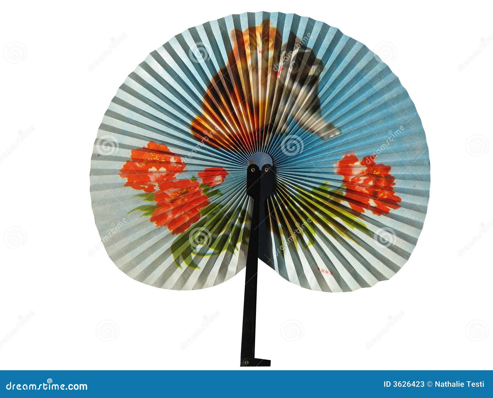 A beautiful Chinese fan stock image. Image of carry, coldness - 3626423