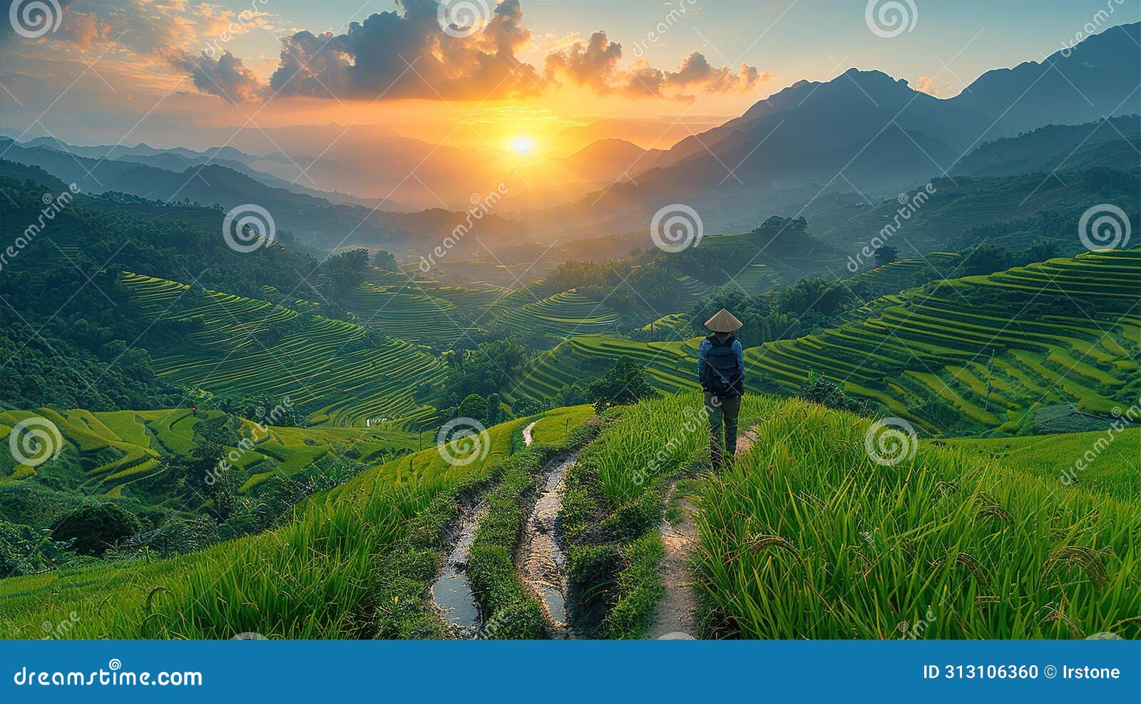 Beautiful Chinese Idyllic Panorama with Rice Fields and River at Sunset ...