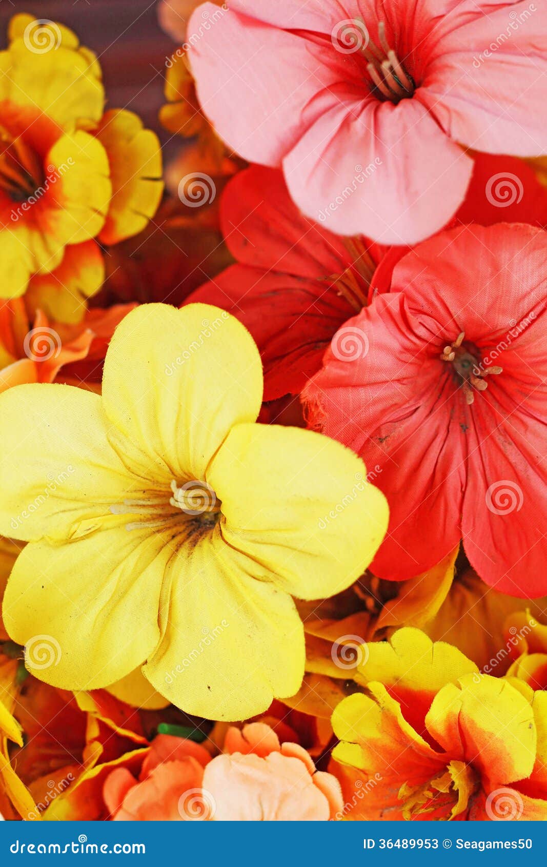 Beautiful Chinese Rose of Artificial Flowers Stock Image - Image of ...