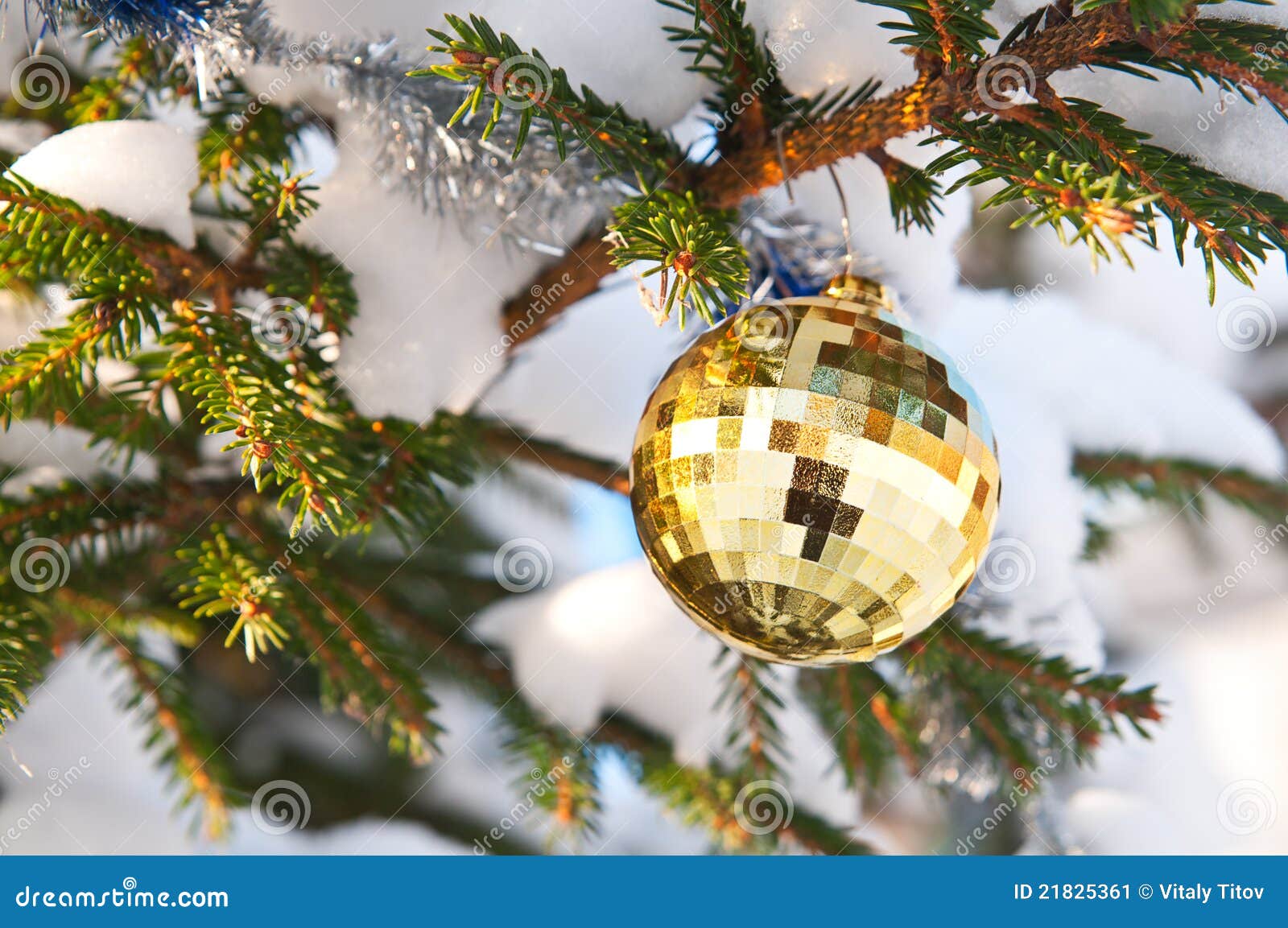 Beautiful Christmas Ball on Christmas Tree Stock Image - Image of glass ...
