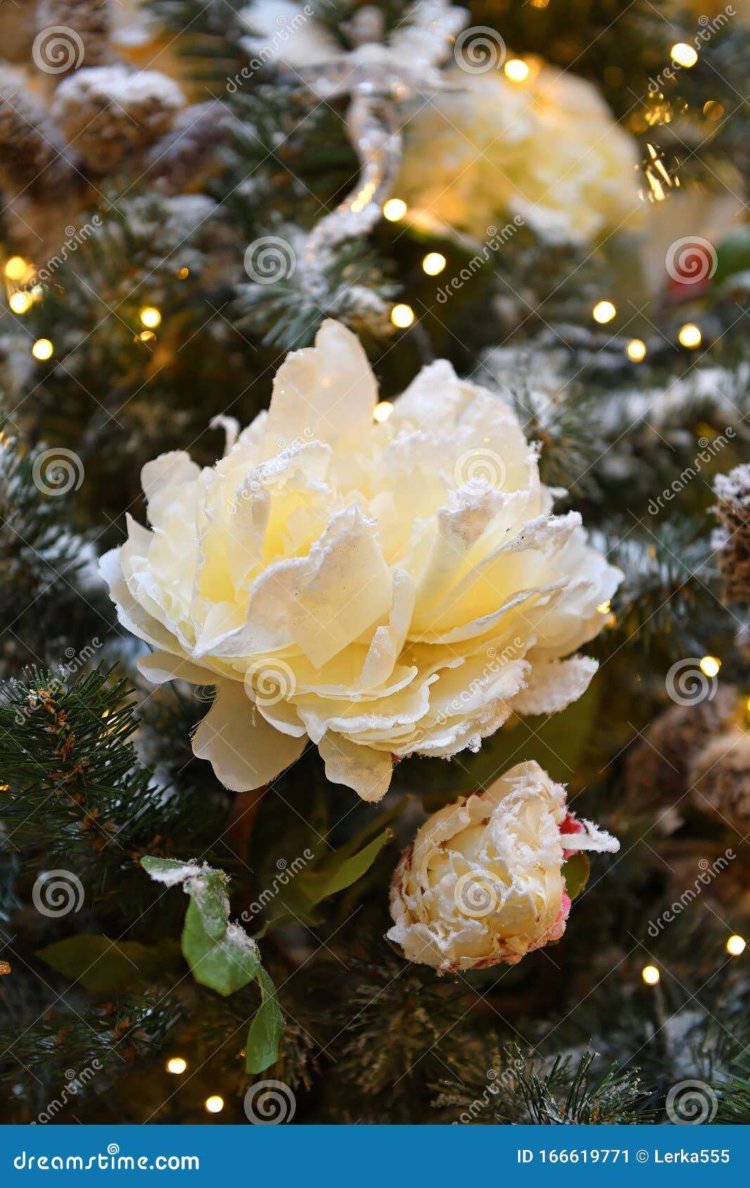 Beautiful Christmas Flowers on Festive Tree Stock Image - Image of ...