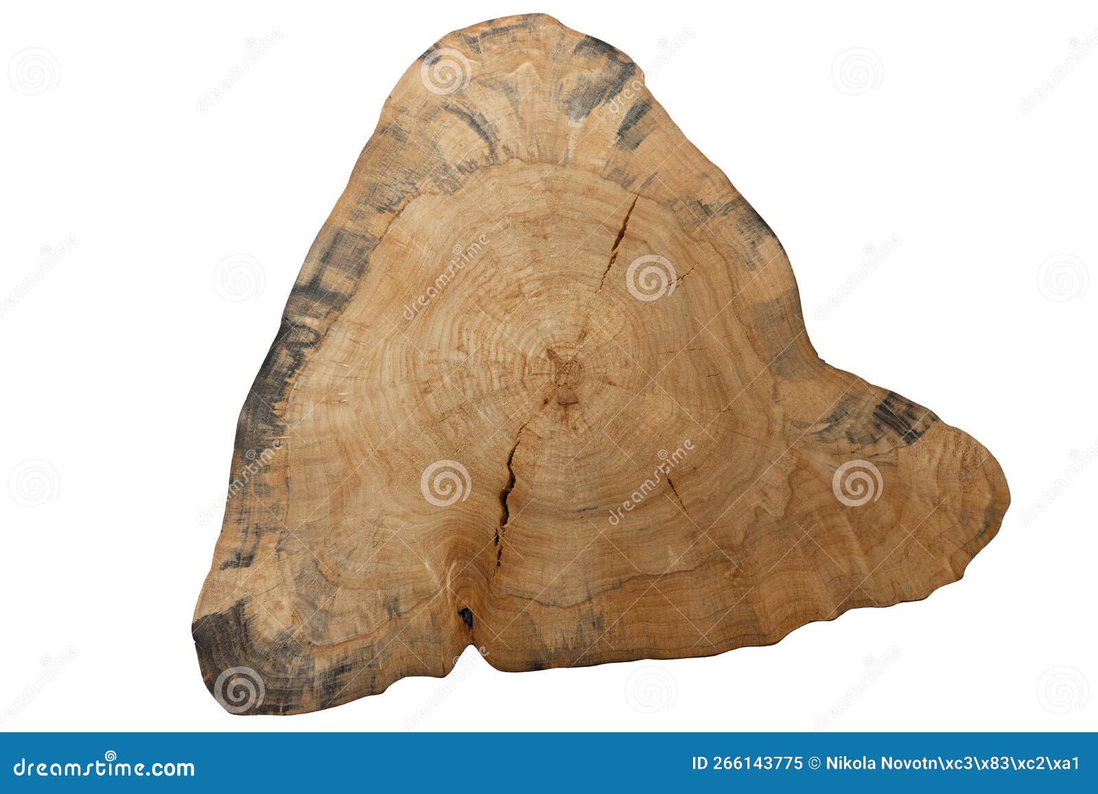 Whole Rustic Circle Wood Structure with Visible Years and Cracks Stock ...