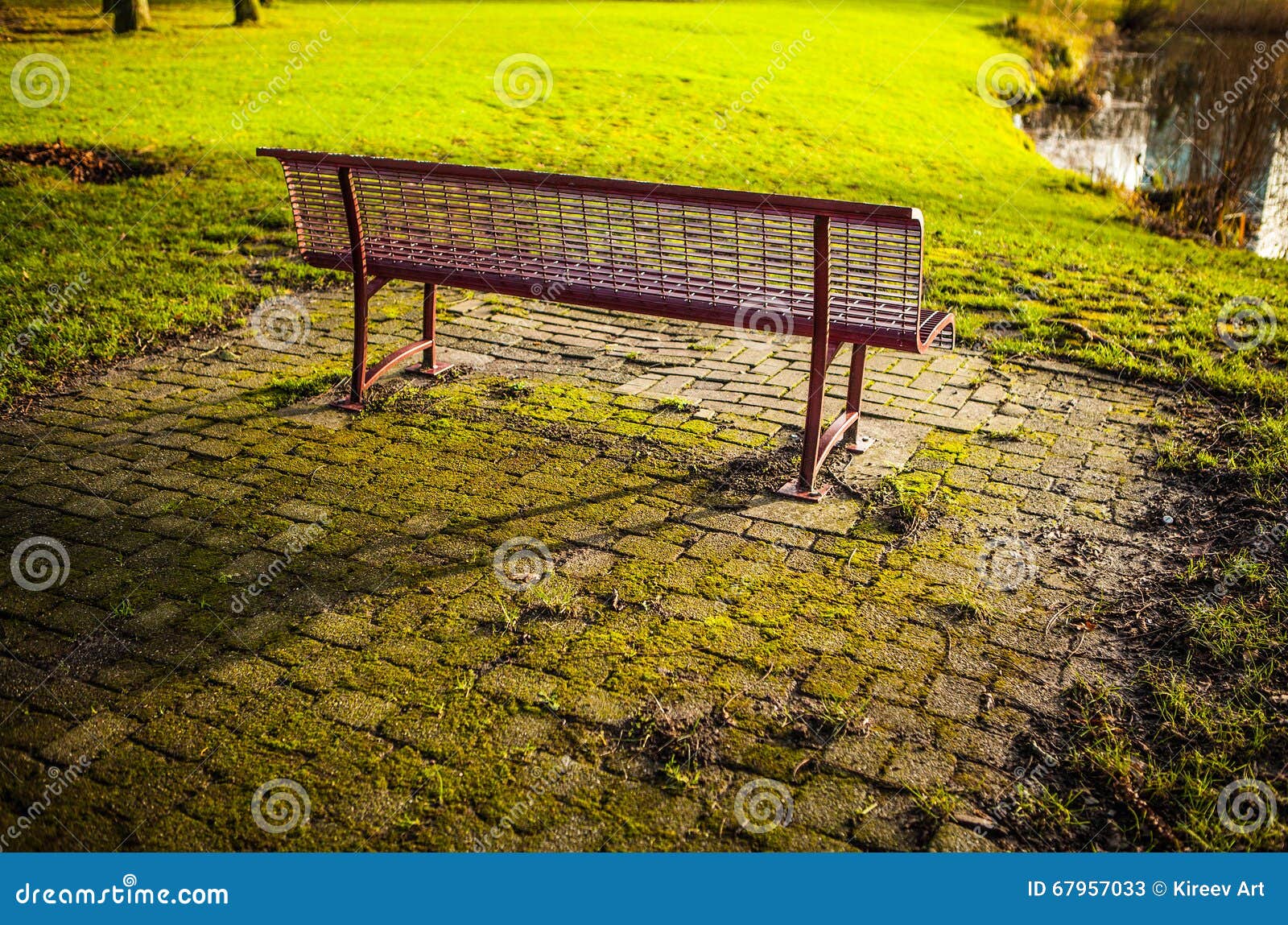 Beautiful City Park Elements Close-up. Stock Image - Image of lawn ...