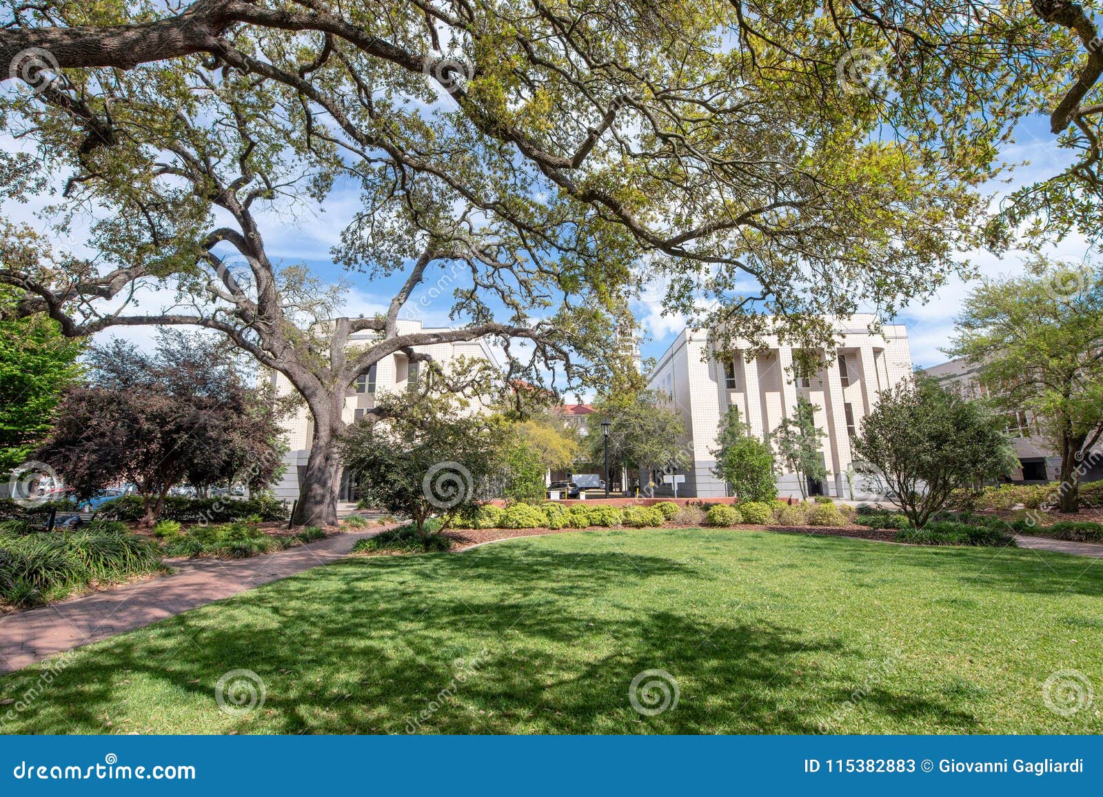 Beautiful City Park in Spring Stock Image - Image of panorama, sunny ...