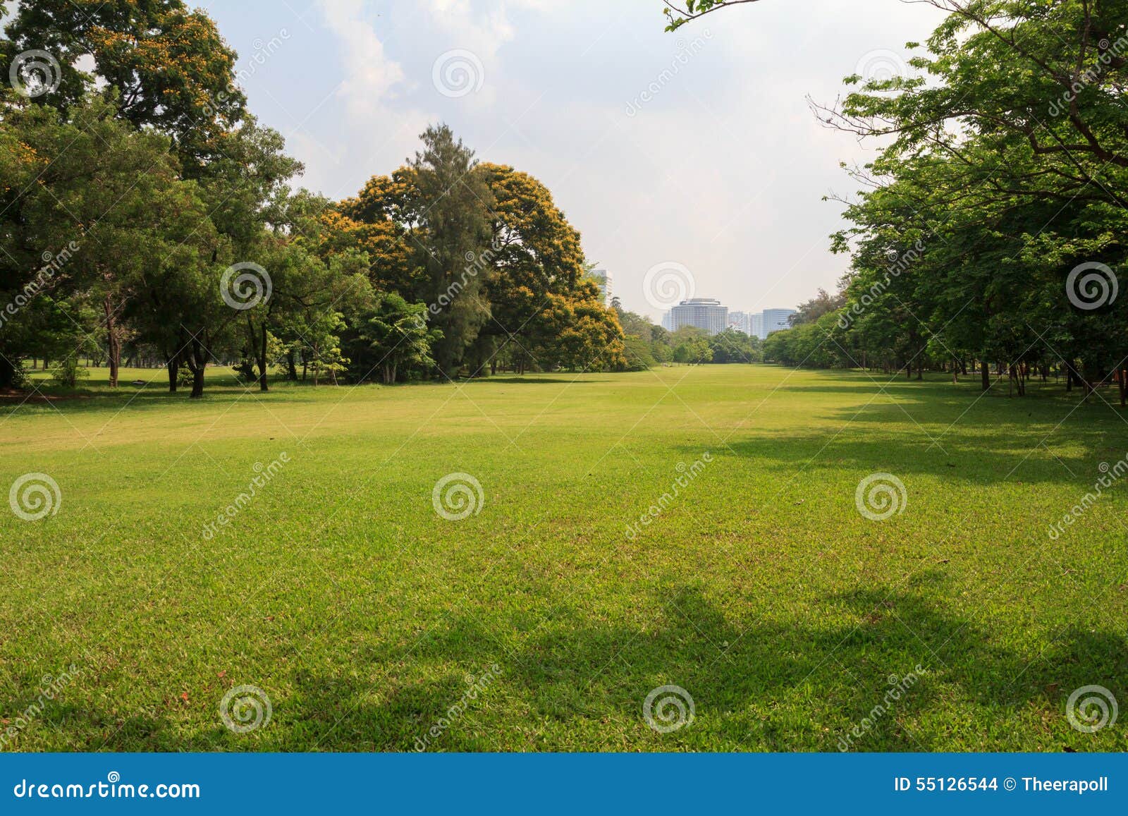 The beautiful city park stock photo. Image of green, business - 55126544