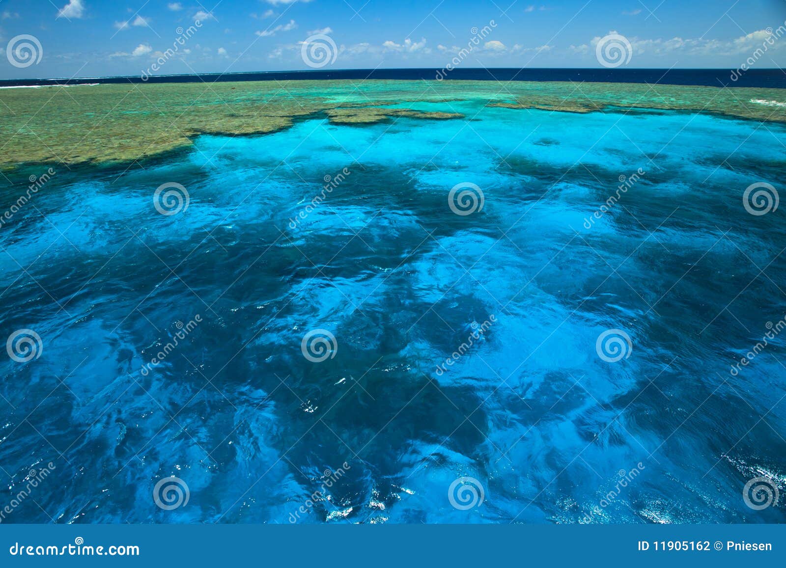 Beautiful Gardens in Great Barrier Reef Park Stock Photo - Image of ...