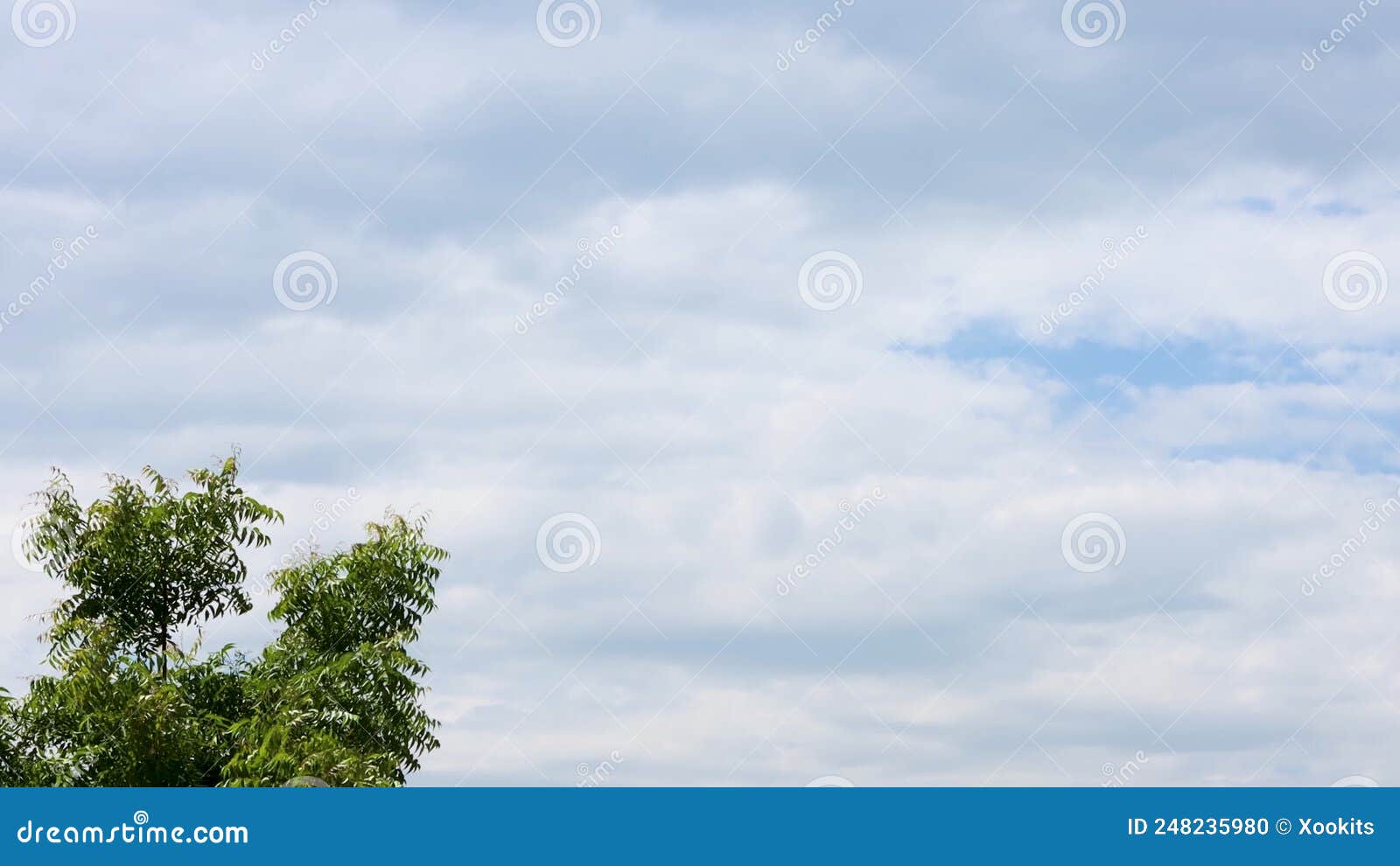 Beautiful Clean Cloudy Sky Above the Neem Tree Stock Footage - Video of ...
