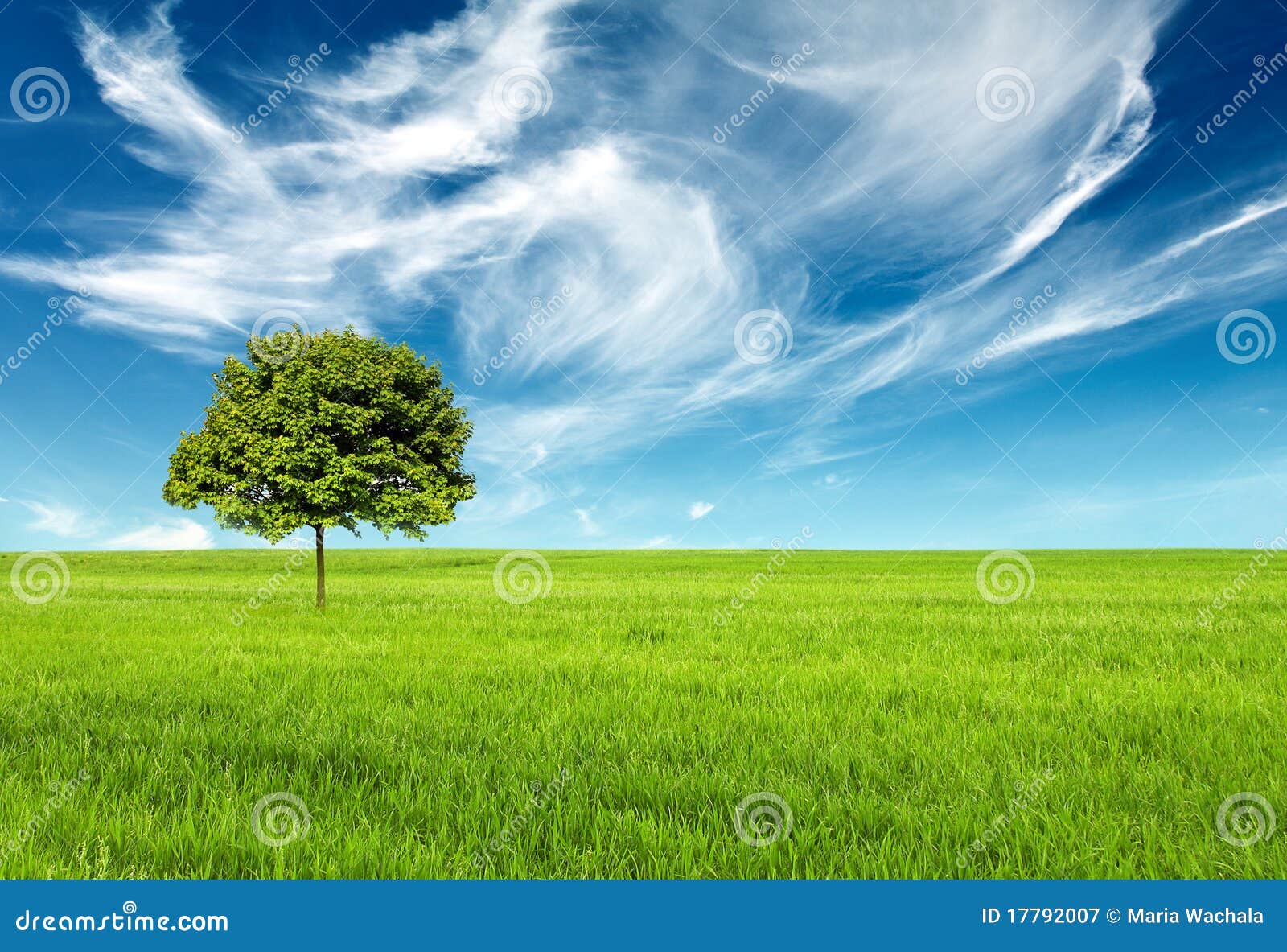 Beautiful Clean Landscape stock image. Image of agriculture - 17792007
