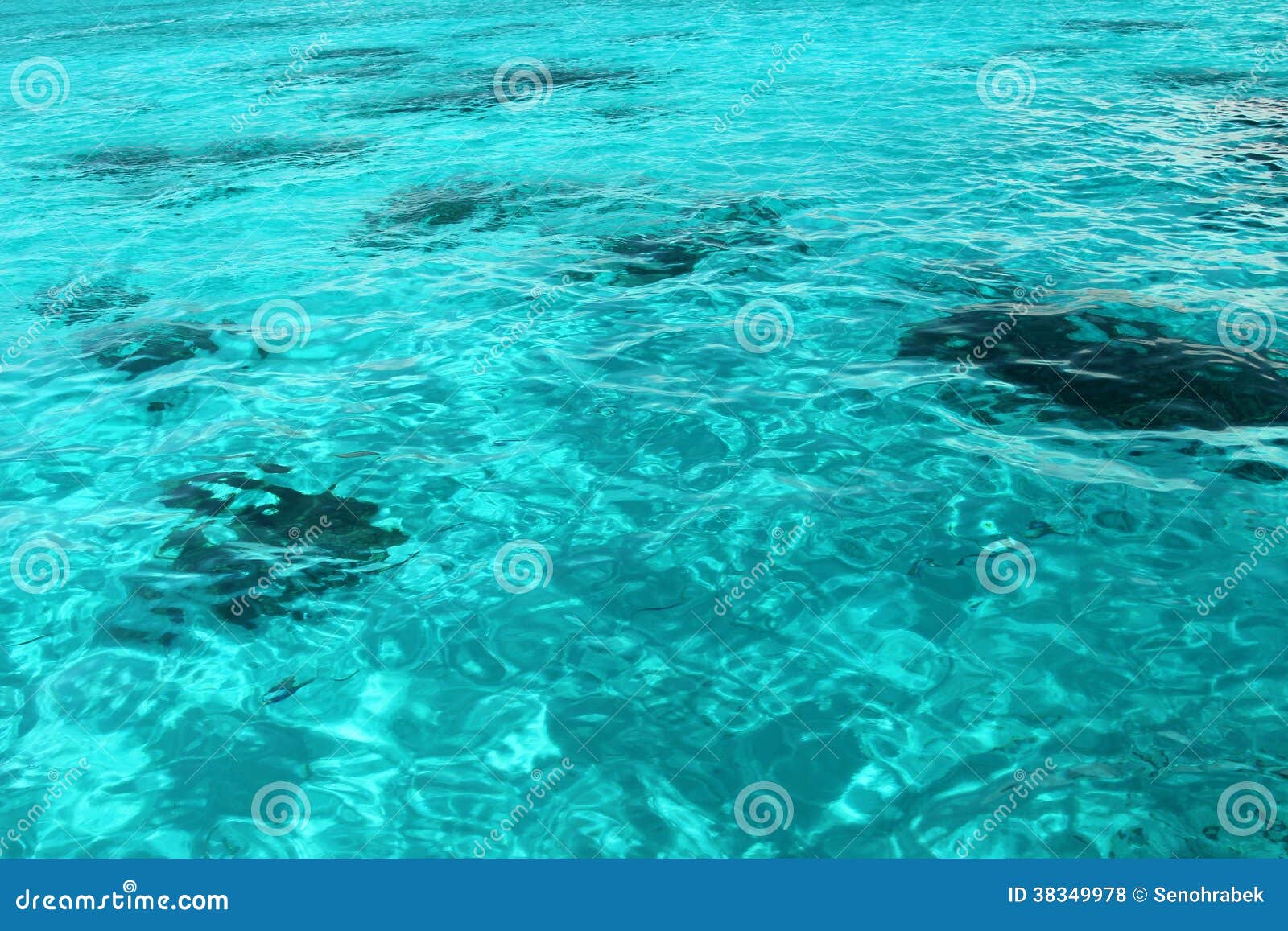 Beautiful clean ocean stock photo. Image of ripple, cuba - 38349978