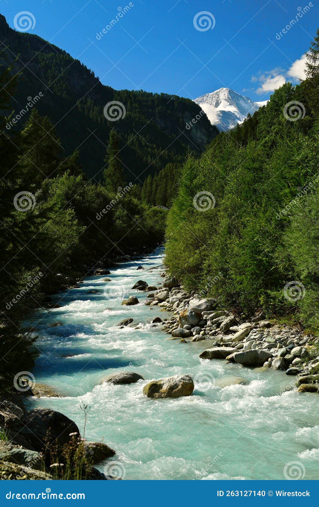 Beautiful Clear Blue Mountain Stream with Green Trees Stock Photo ...