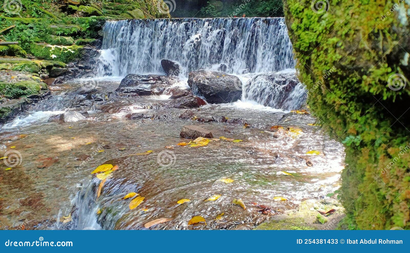Mini waterrfall stock image. Image of jungle, ecology - 254381433
