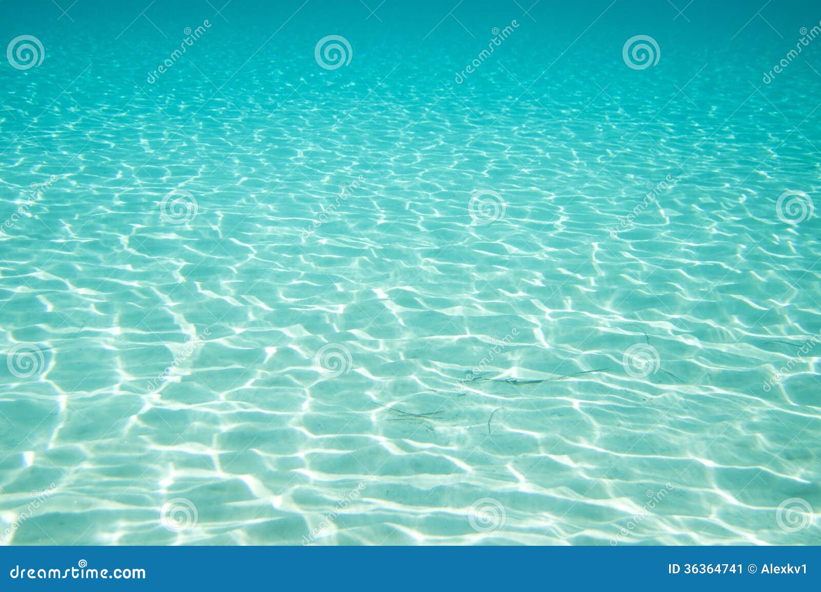 Beautiful Clear Underwater Surface Stock Image - Image of sunlight ...