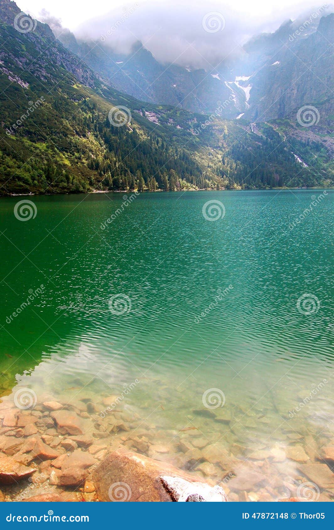 Beautiful Clear Water in a Mountain Lake Stock Photo - Image of pebbles ...