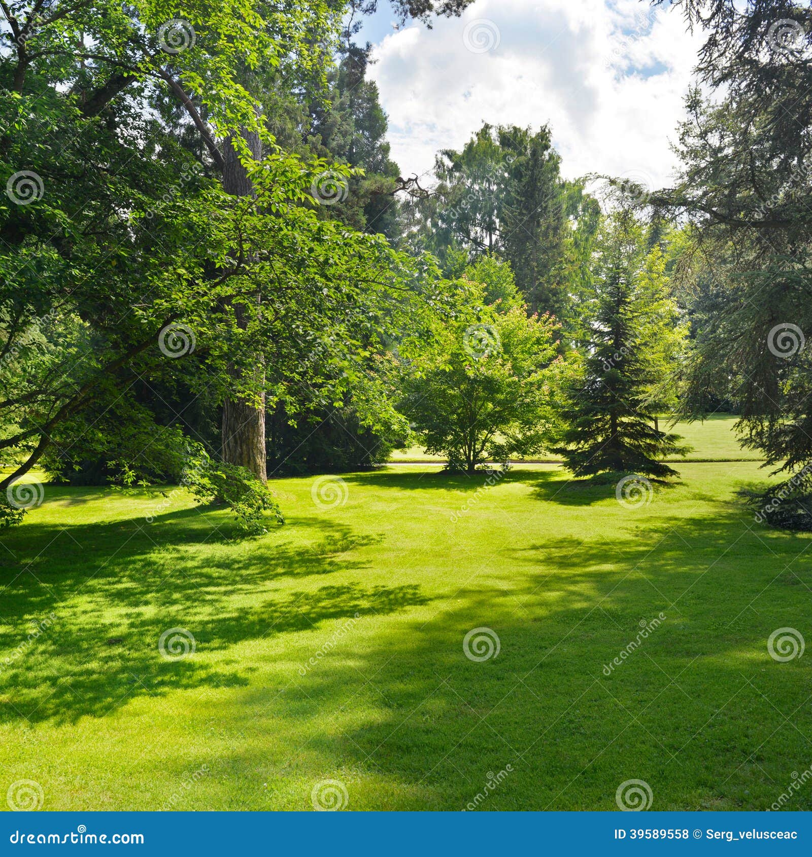 Beautiful clearing stock photo. Image of beautiful, cloudy - 39589558