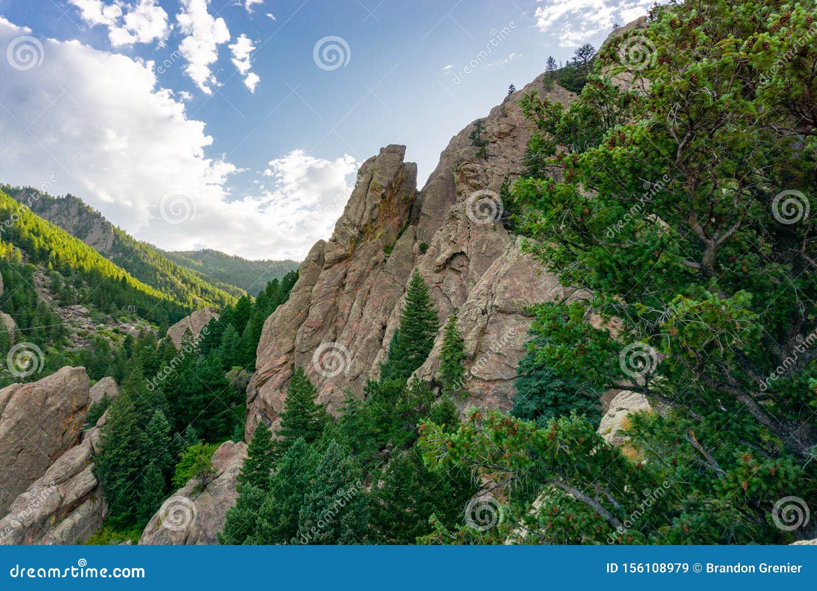 Cliff Scene Evergreens in Boulder Colorado Stock Image - Image of ...